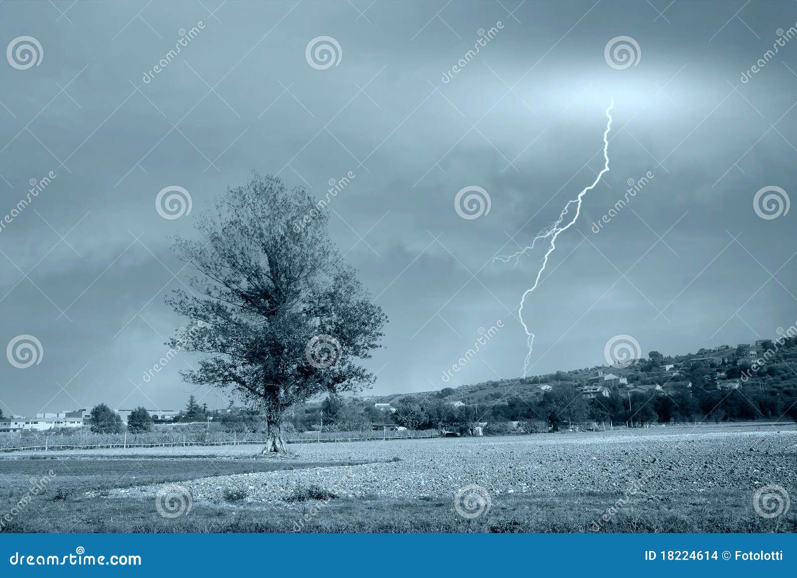 Isolated Tree in Countryside Stock Photo - Image of beam, country: 18224614