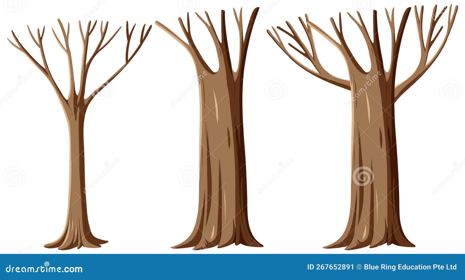 Isolated Tree without Leaves Cartoon Stock Vector - Illustration of ...