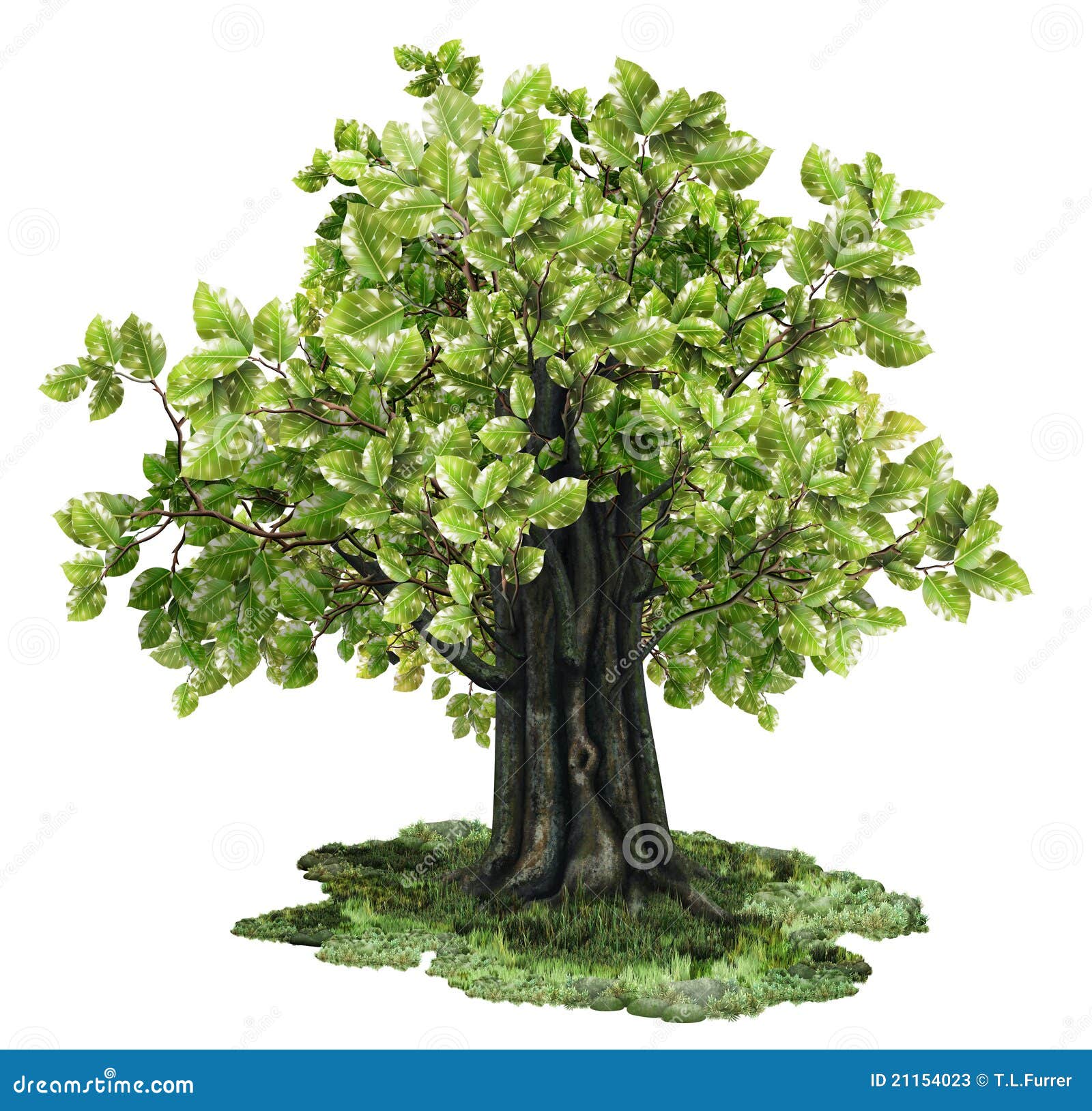 Tree Path Illustration Cartoon Vector | CartoonDealer.com #16630027