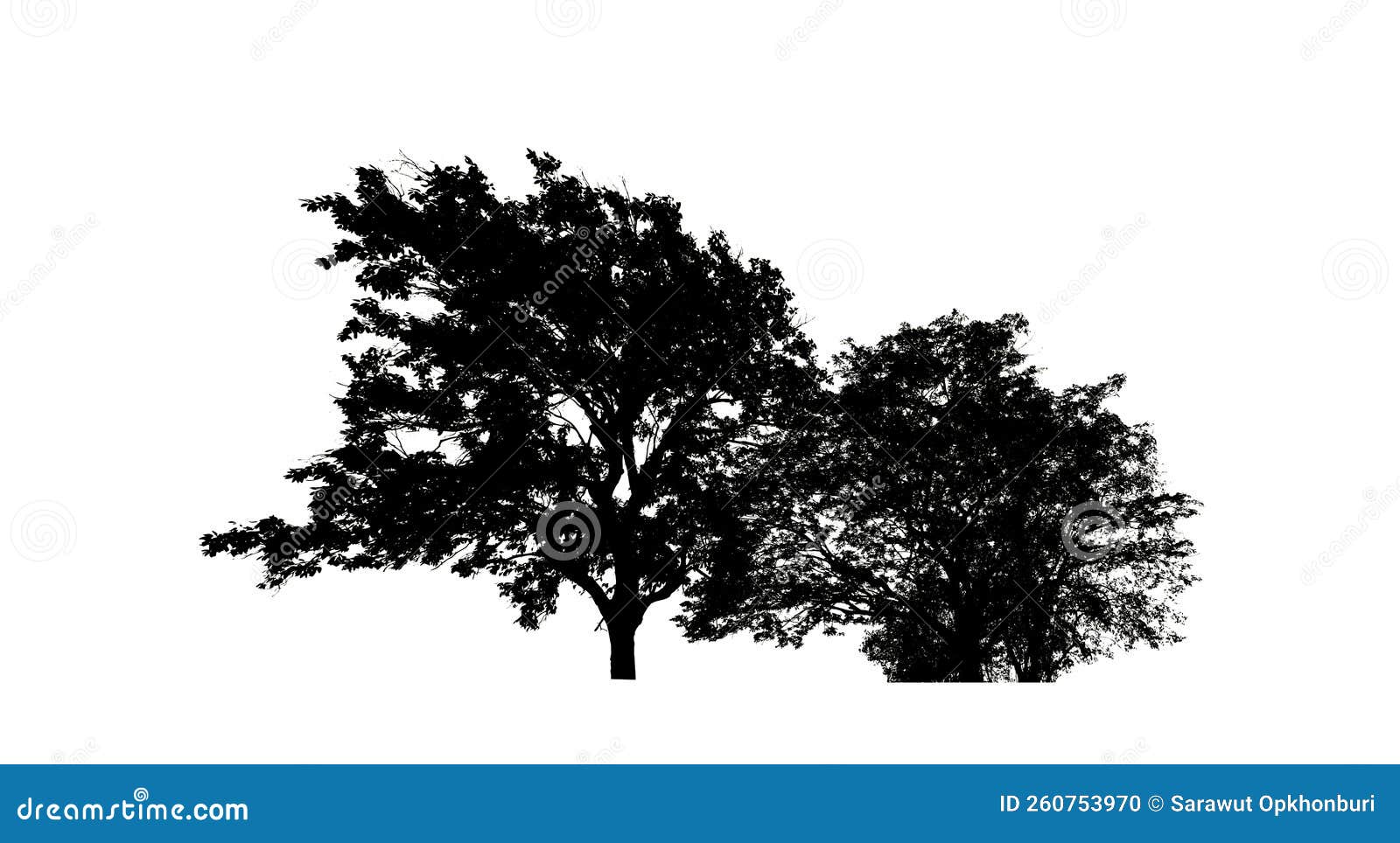 Isolated Tree Silhouette for Brush on White Background . Stock ...