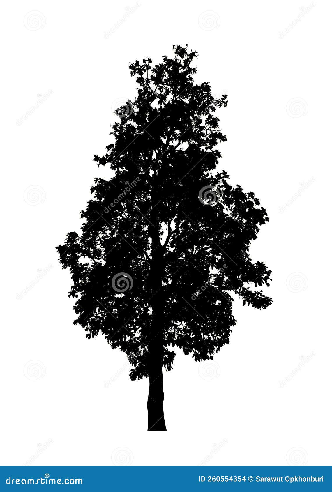 Isolated Tree Silhouette for Brush on White Background . Stock Photo ...