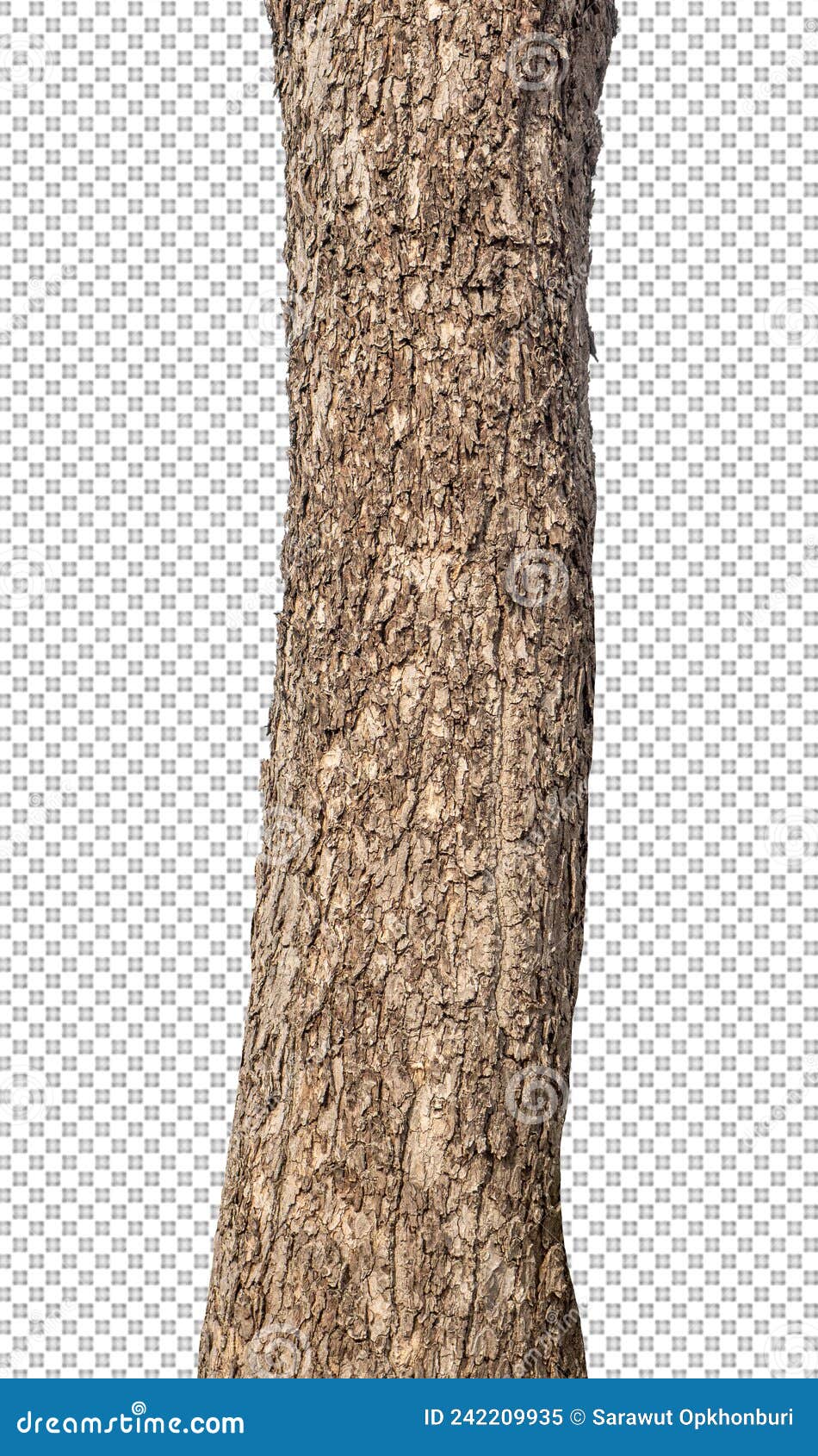 Trunk of a Tree Isolated on White Background . Stock Image - Image of ...