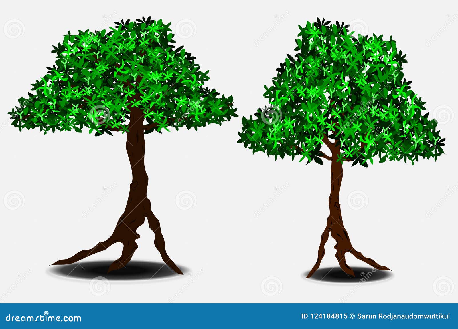 Isolated Tree Vector,Collection Beautiful Tree Realistic on Gray ...