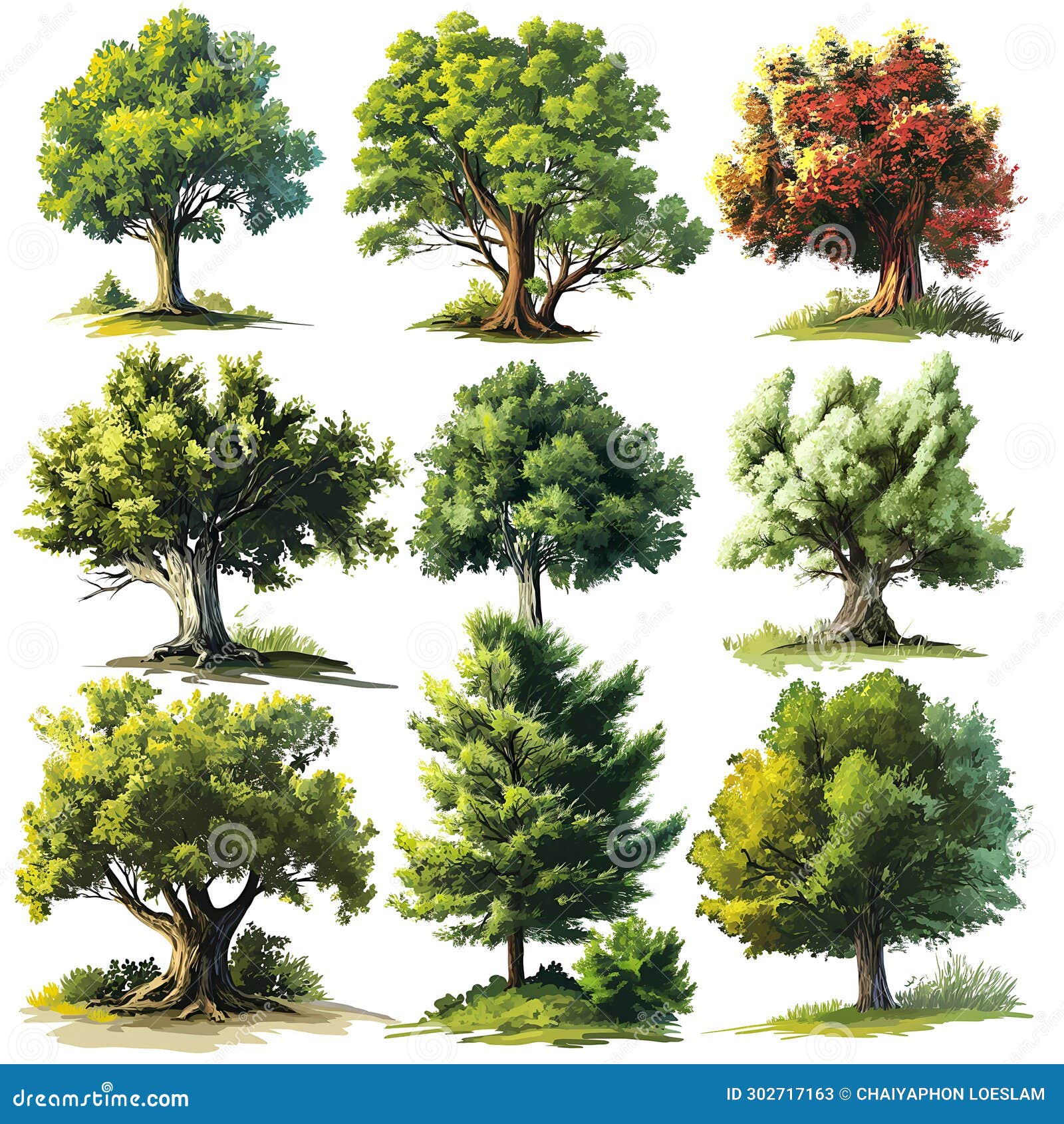 Isolated Trees on White Background , the Collection of Trees, Web ...