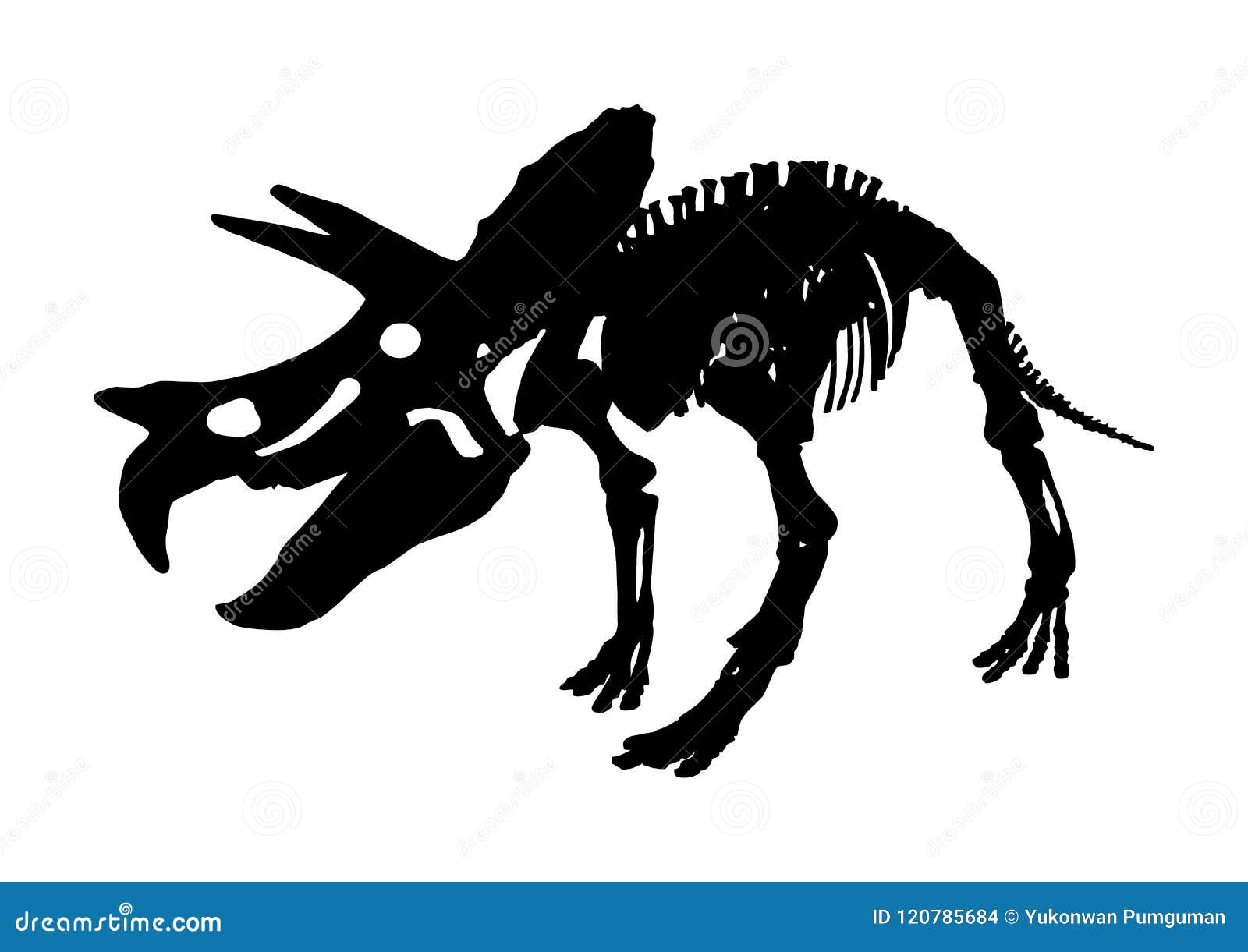 Isolated Triceratops Dinosaur Skeleton Fossil, Vector Stock Vector ... Isolated Triceratops Dinosaur Skeleton Fossil, Vector Stock Vector ...