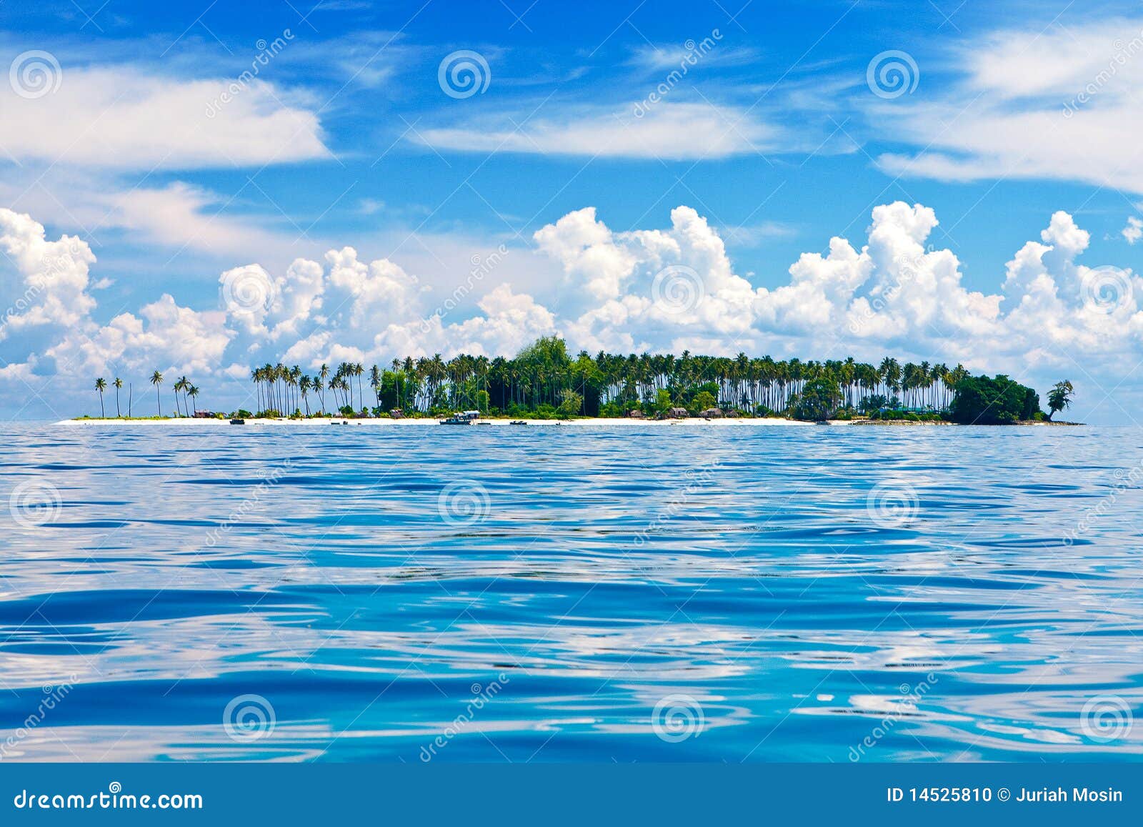 Isolated Tropical Island in the Sea Stock Photo - Image of nature ...
