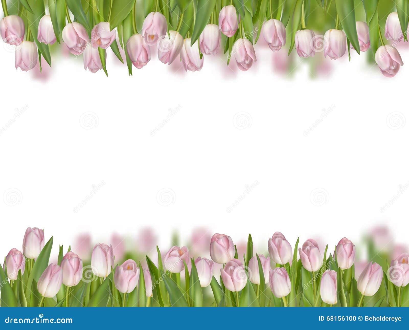 Isolated Tulip Frame Arrangement. EPS 10 Stock Vector - Illustration of ...
