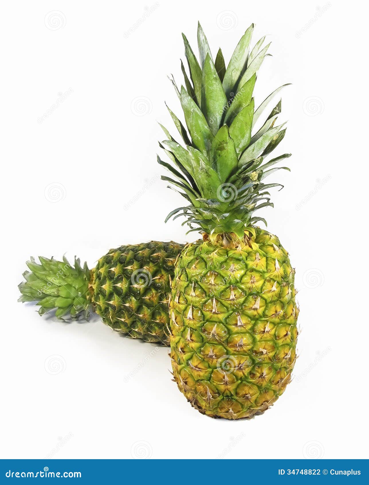 Isolated two pineapple stock photo. Image of ripe, slice - 34748822