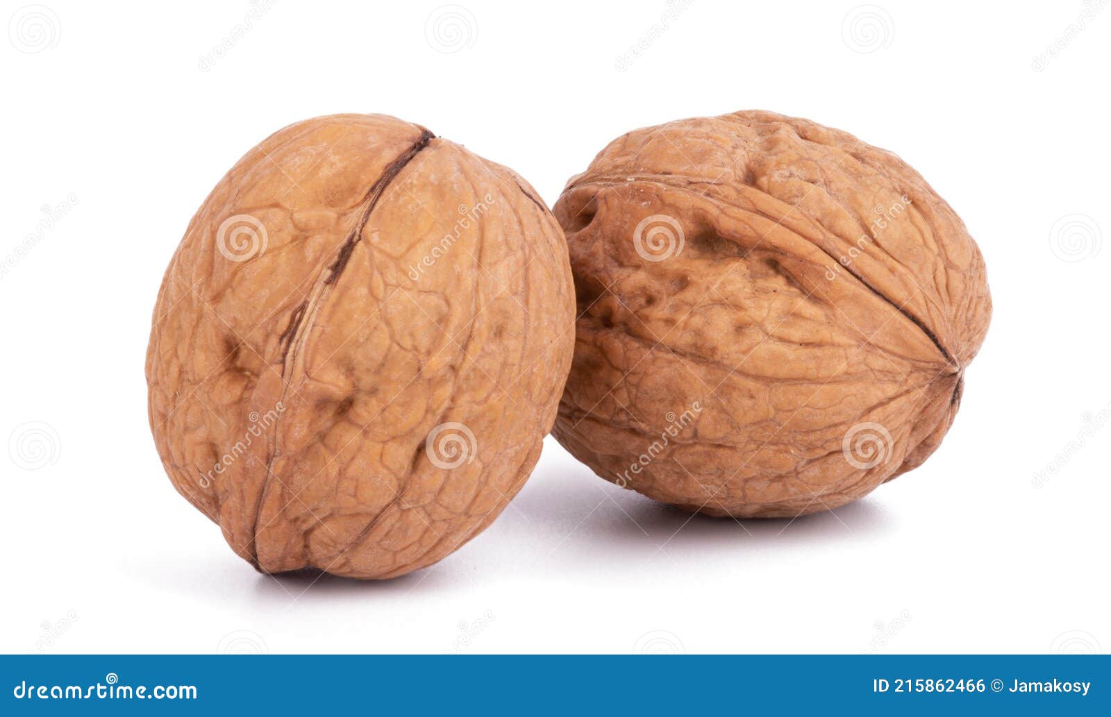 Isolated Two Wallnuts on White Background Close Up Stock Photo - Image ...