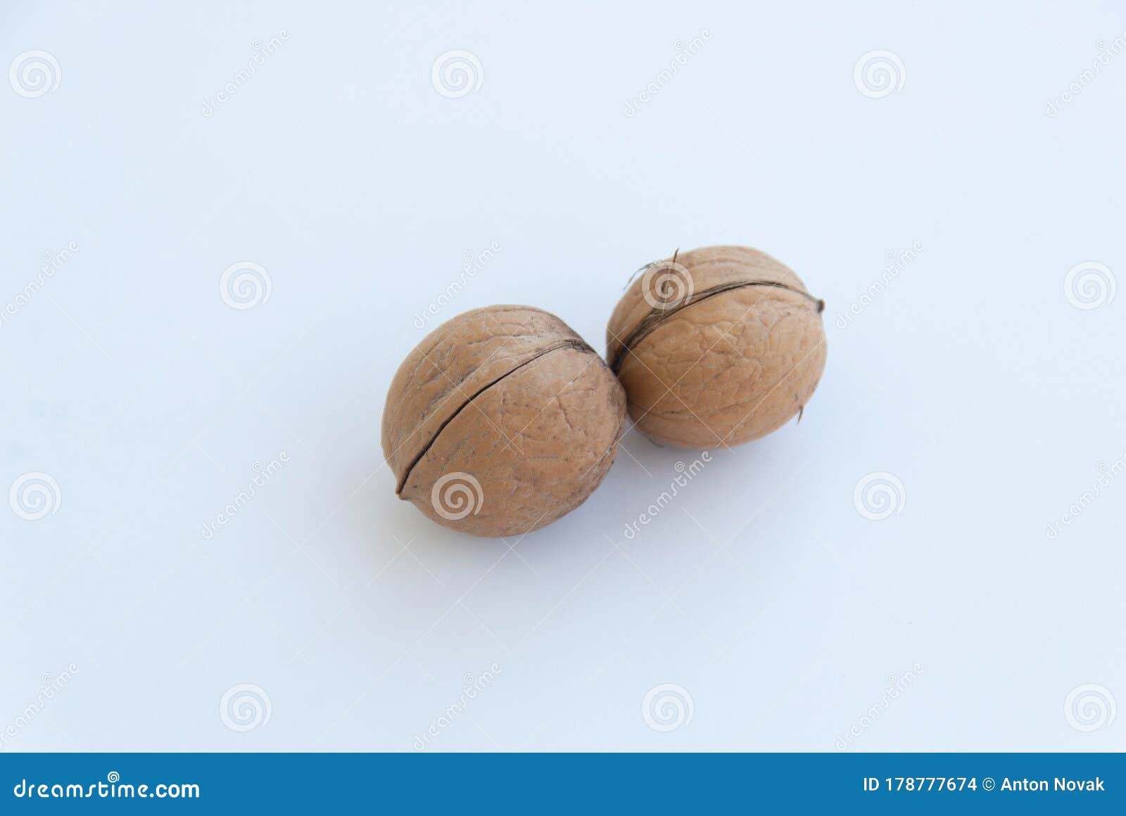 Isolated Two Walnuts on White Background Closeup Stock Photo - Image of ...