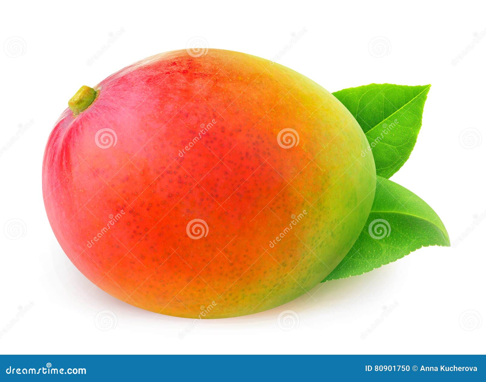 Isolated uncut mango stock photo. Image of antioxidant - 80901750
