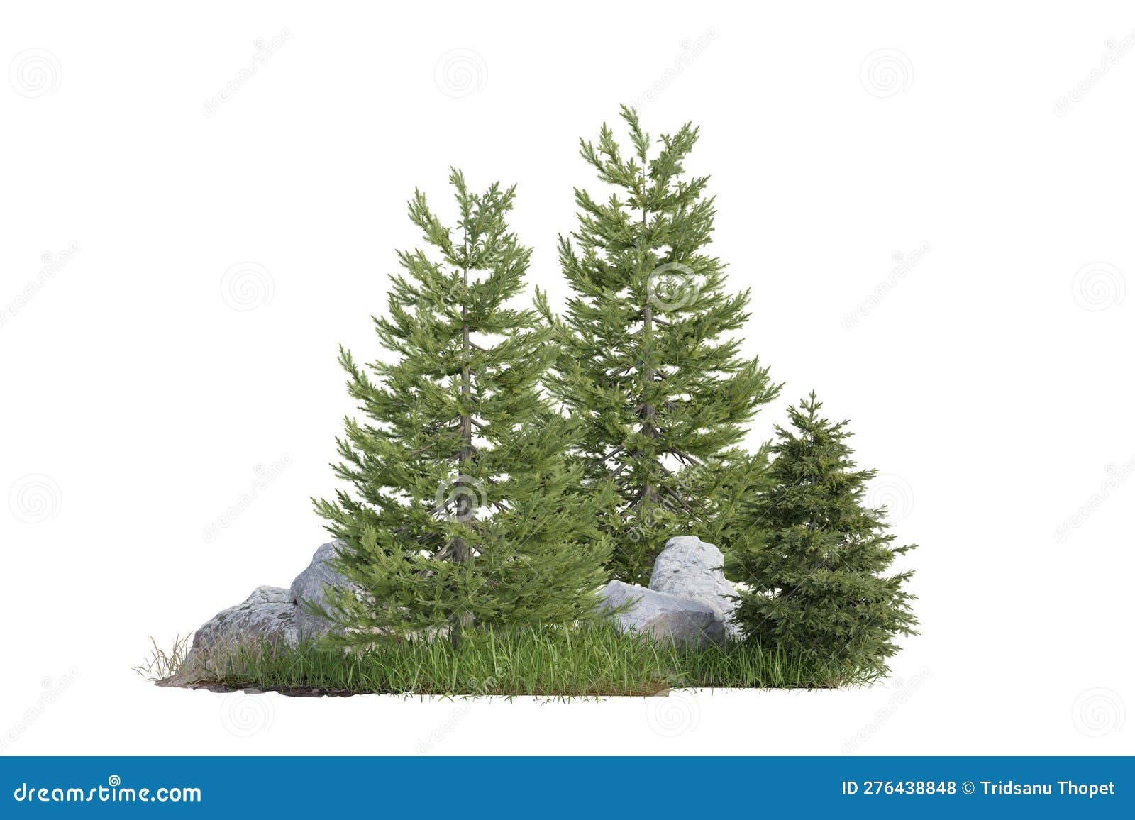 Isolated Unique Tree Small Forest with Small Rock and Small Grass Field ...