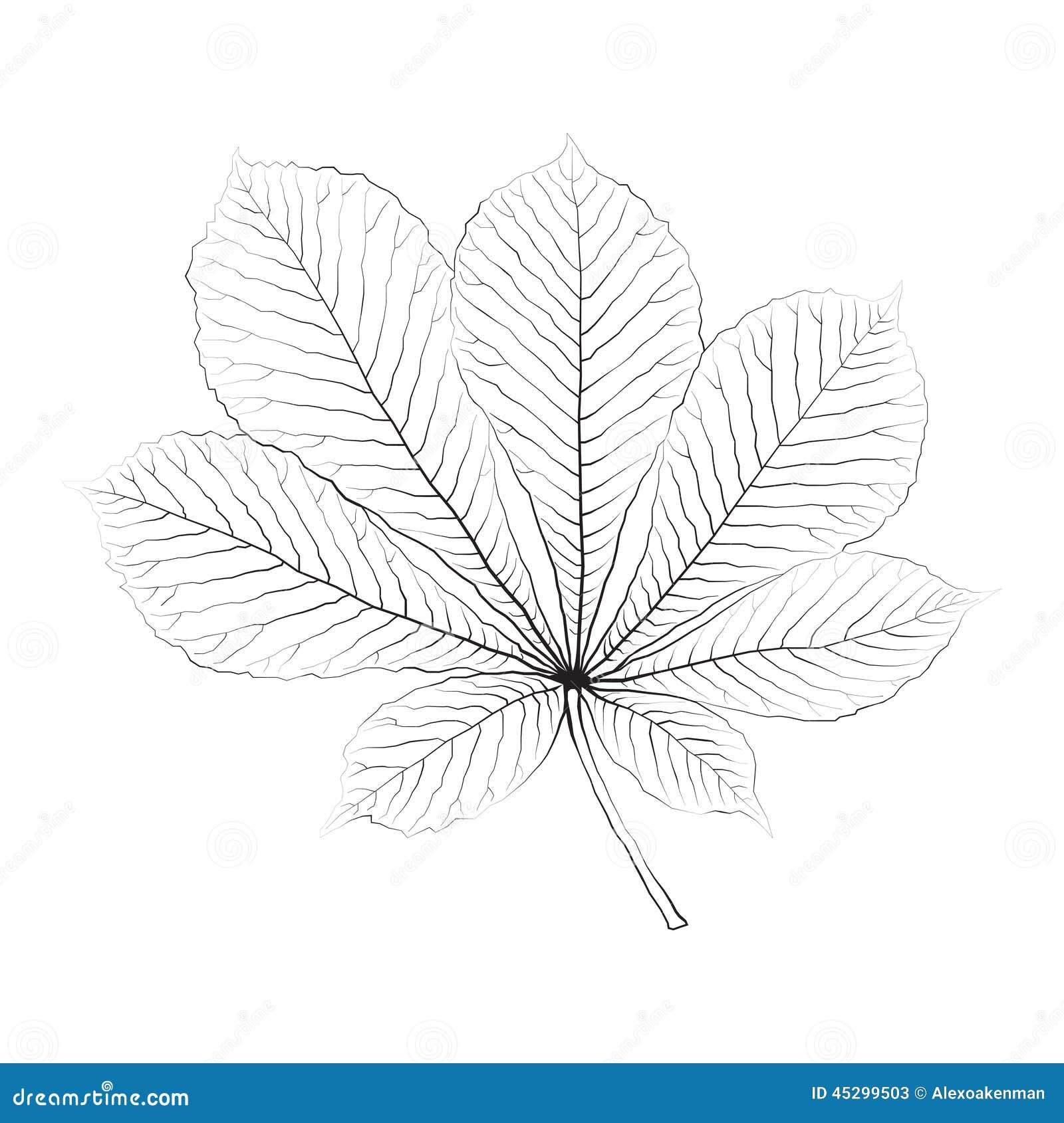 Isolated Vector Monochrome Chestnut Leaf Stock Vector - Illustration of ...