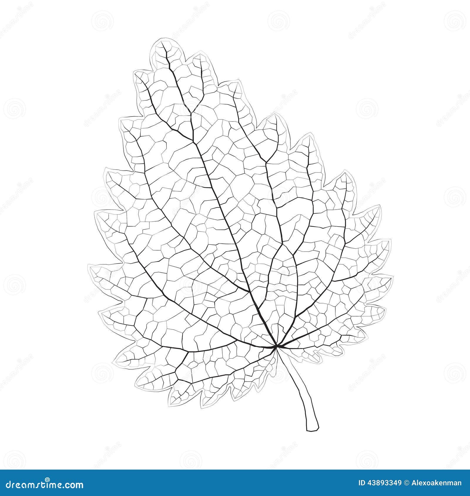 Isolated Vector Monochrome Nettle Leaf. Stock Vector - Illustration of ...