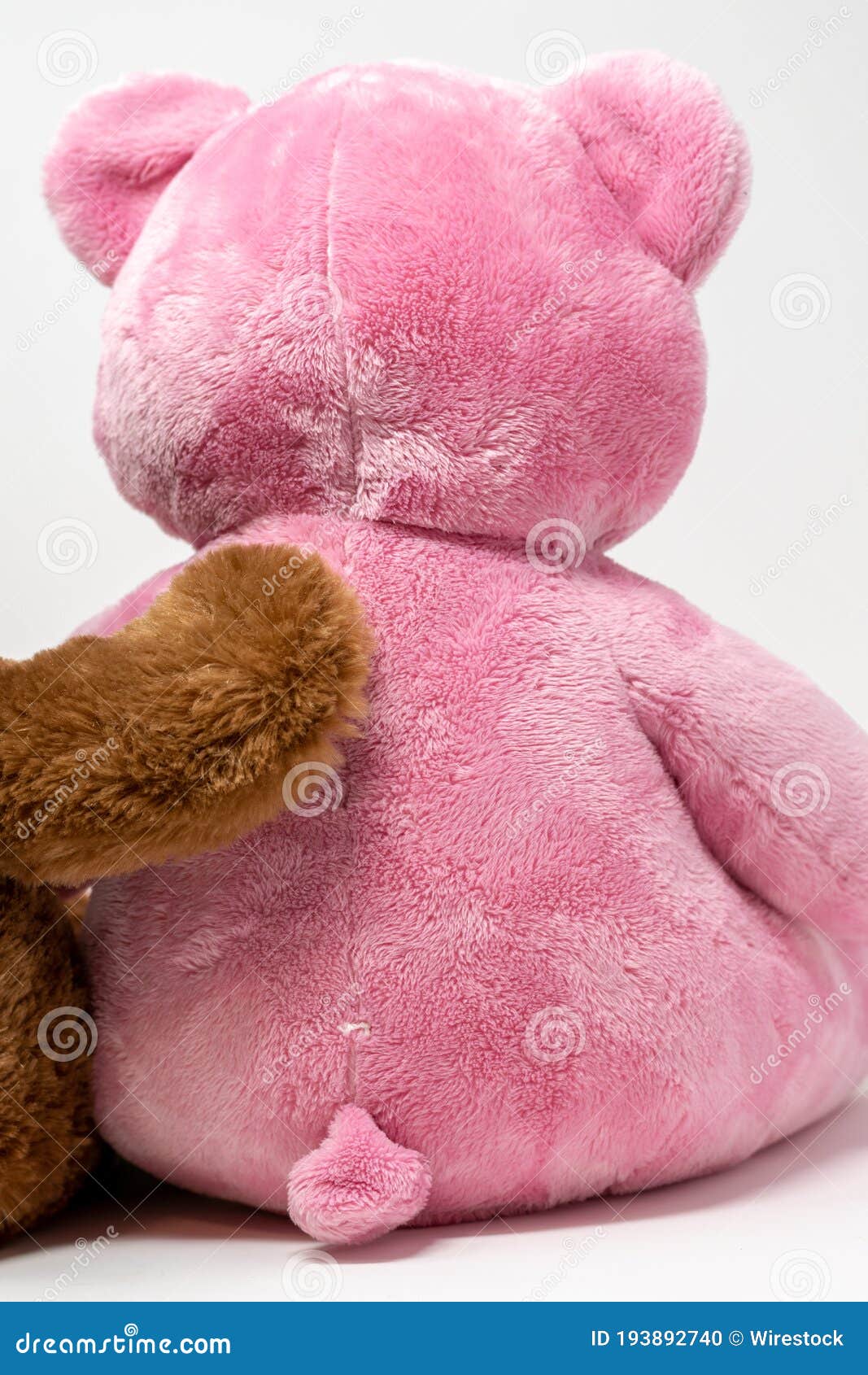 Isolated Vertical Closeup Shot of a Pink Teddy Bear from the Back Stock ...