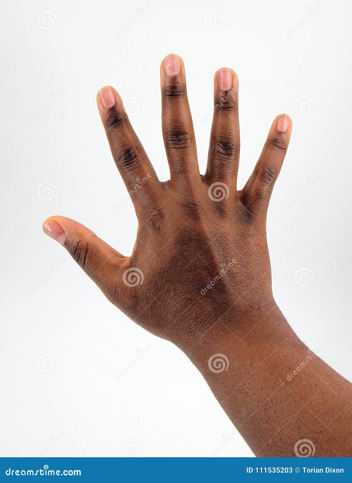 Brown Skin Hand stock image. Image of skin, brown, african - 111535203
