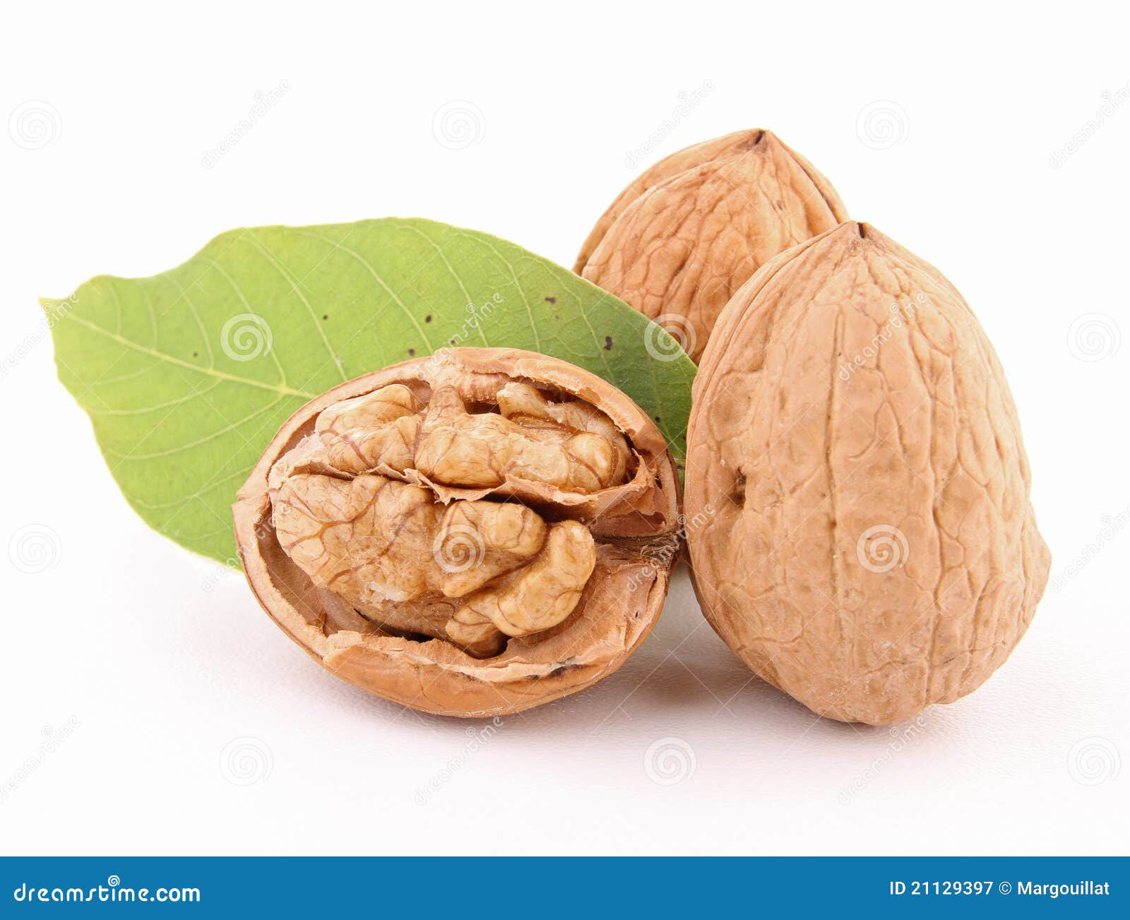 Isolated walnut stock image. Image of nutrition, fruit - 21129397