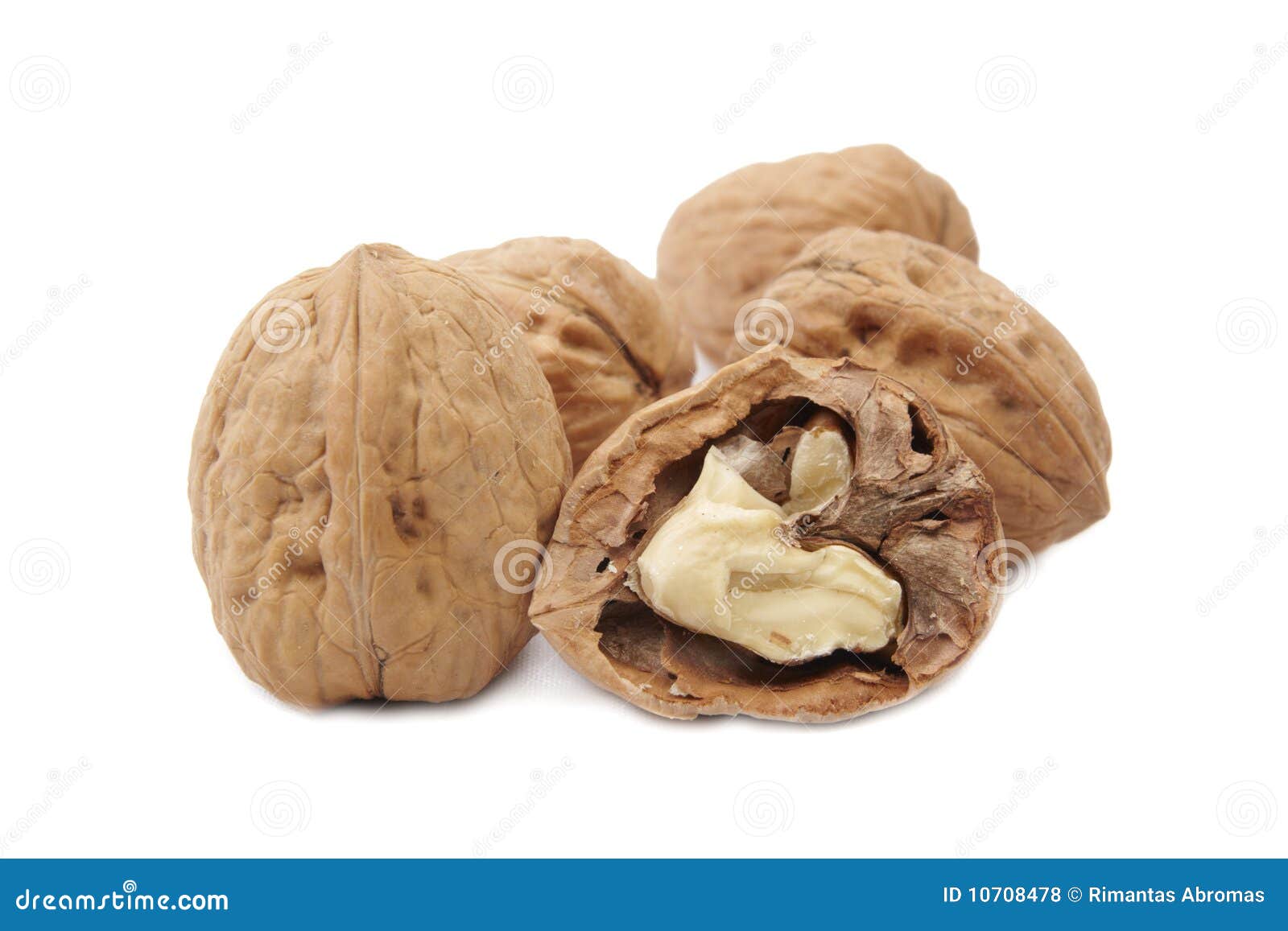 Isolated walnuts stock photo. Image of hard, fruit, food - 10708478