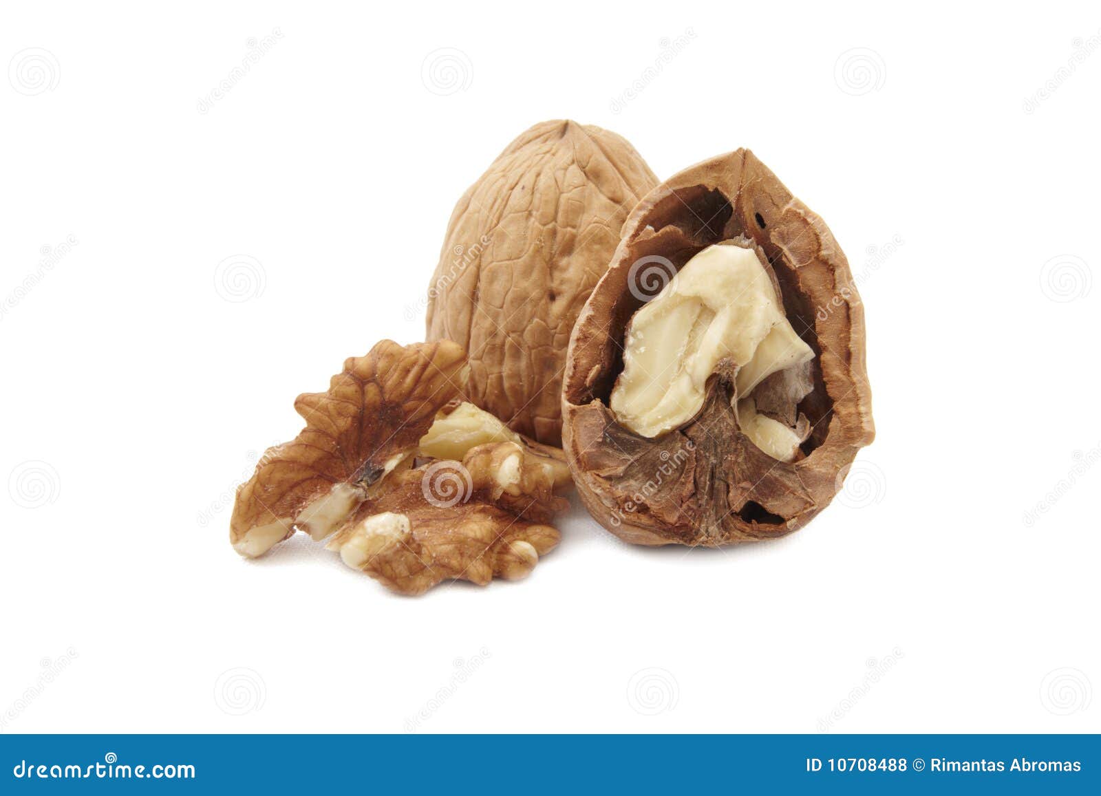 Isolated walnuts stock photo. Image of hazelnut, isolated - 10708488