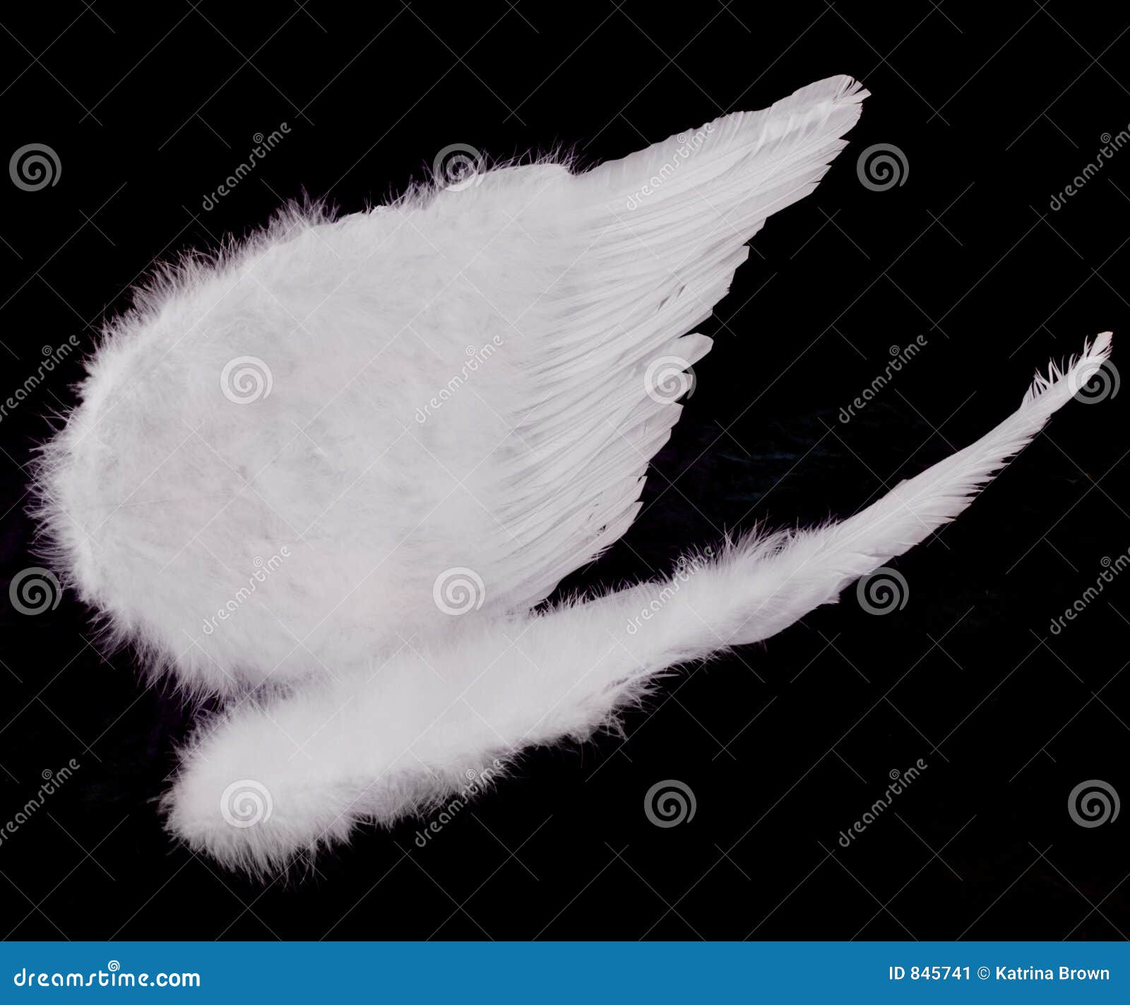 Angel Wings Side View