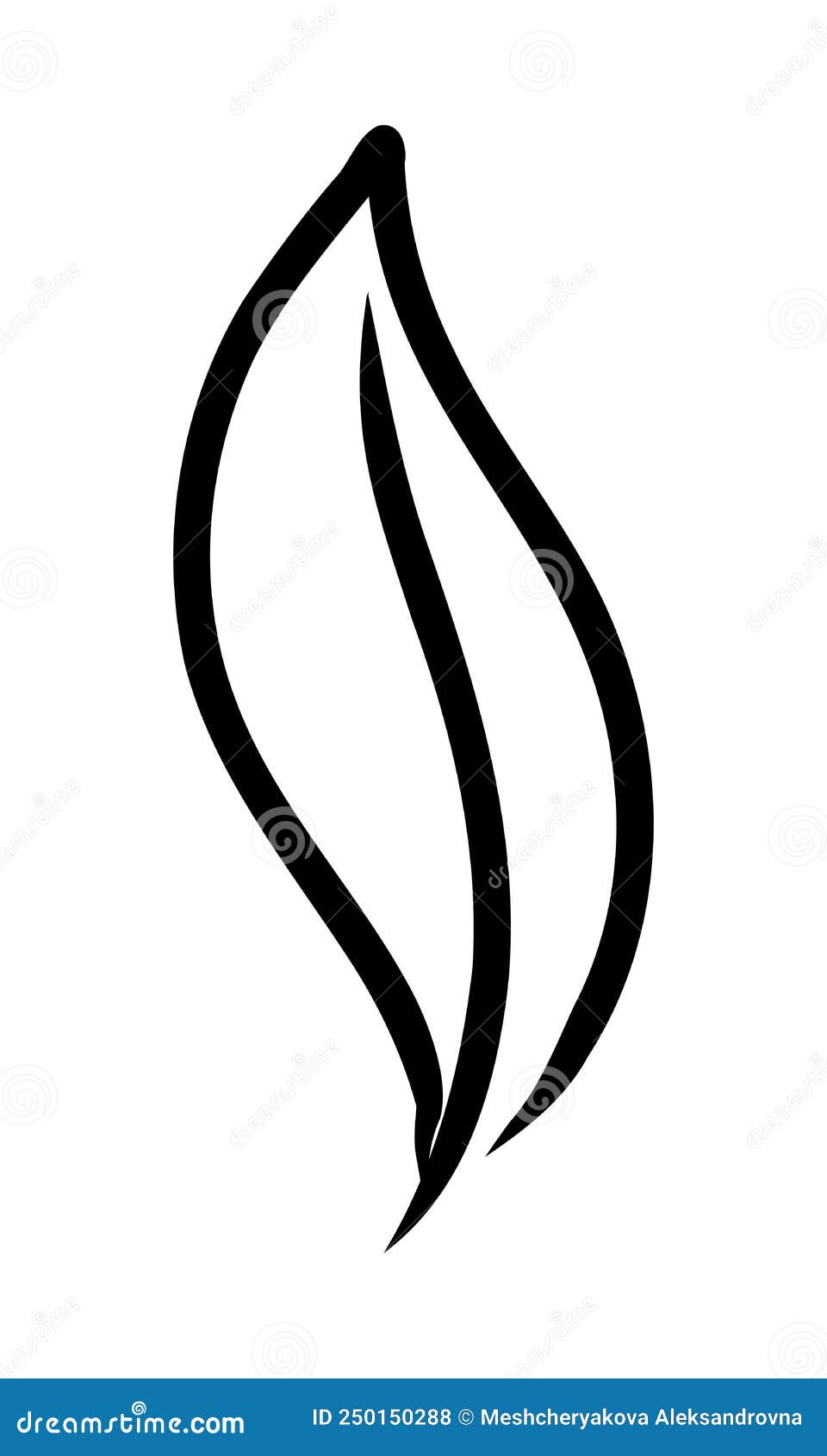 ISOLATED on a WHITE BACKGROUND CONTOUR DRAWING of a PLANT LEAF Stock ...