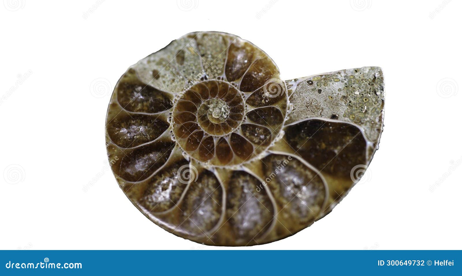 Isolated on White Background Files Stock Photo - Image of professional ...