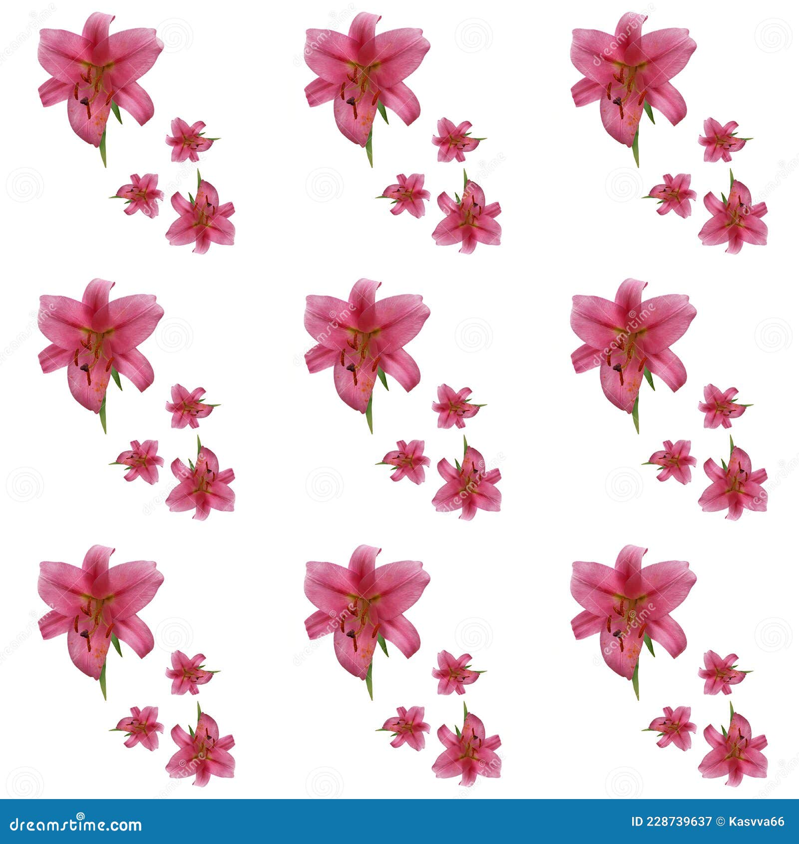 Isolated on a White Background, a Seamless Pattern of Lily Flowers ...