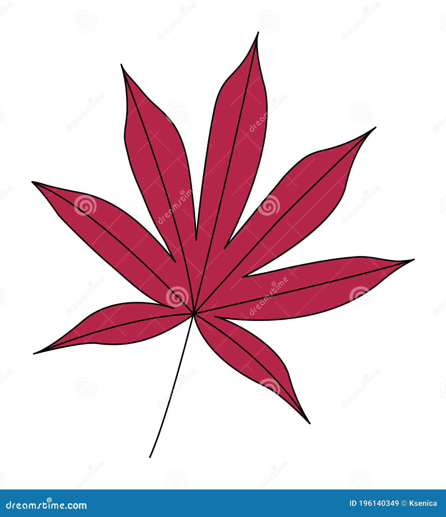 Bloodgood Japanese Maple Tree Leaf. Stock Vector - Illustration of ...