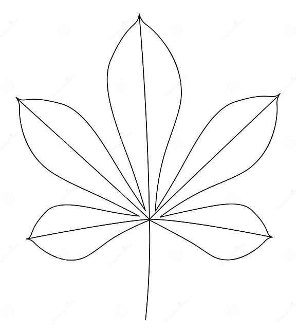 Leaf of Chestnut Tree. Thin Line Art. Stock Vector - Illustration of ...