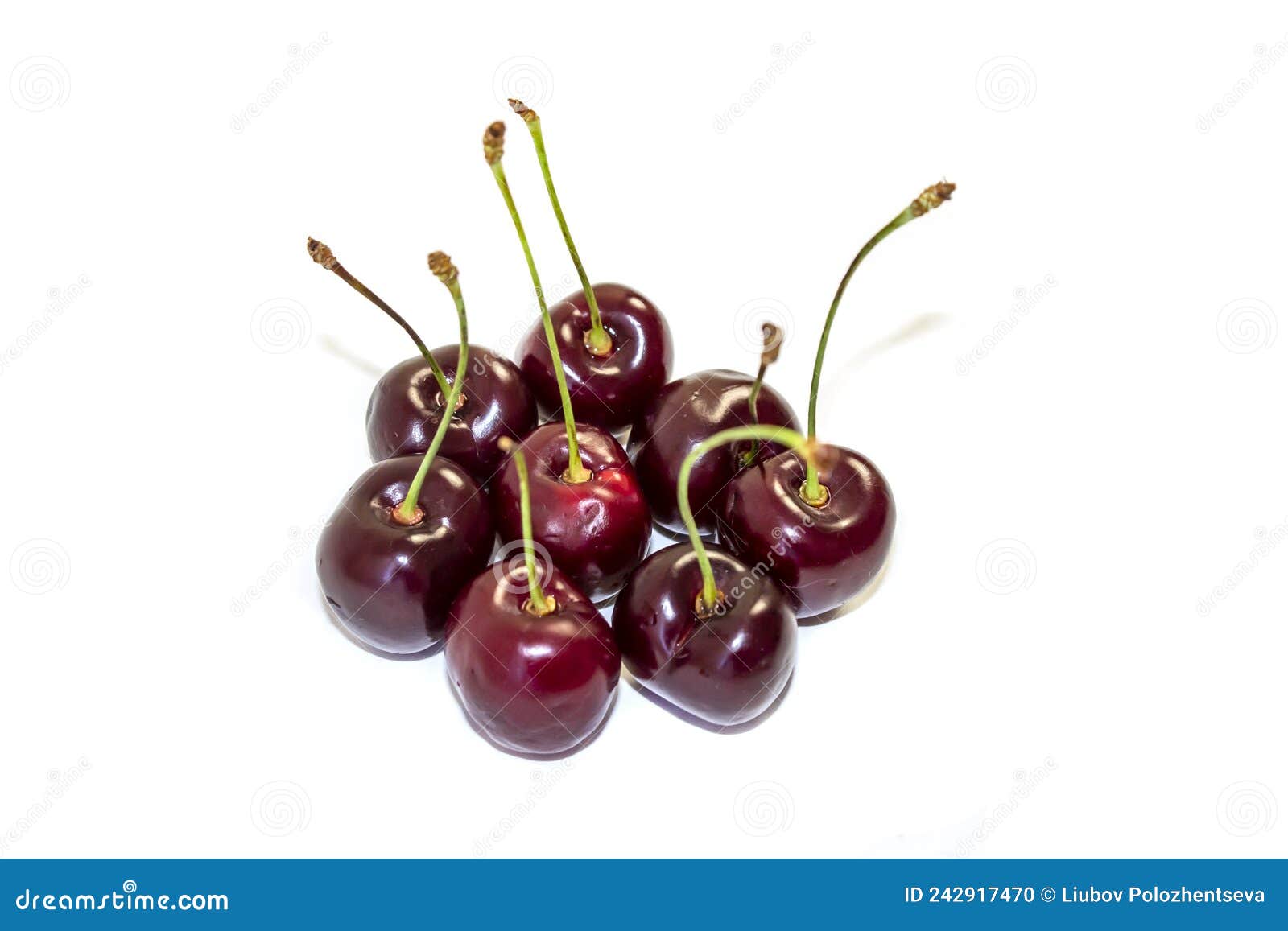 Isolated on White Cherry Background Stock Photo - Image of closeup ...