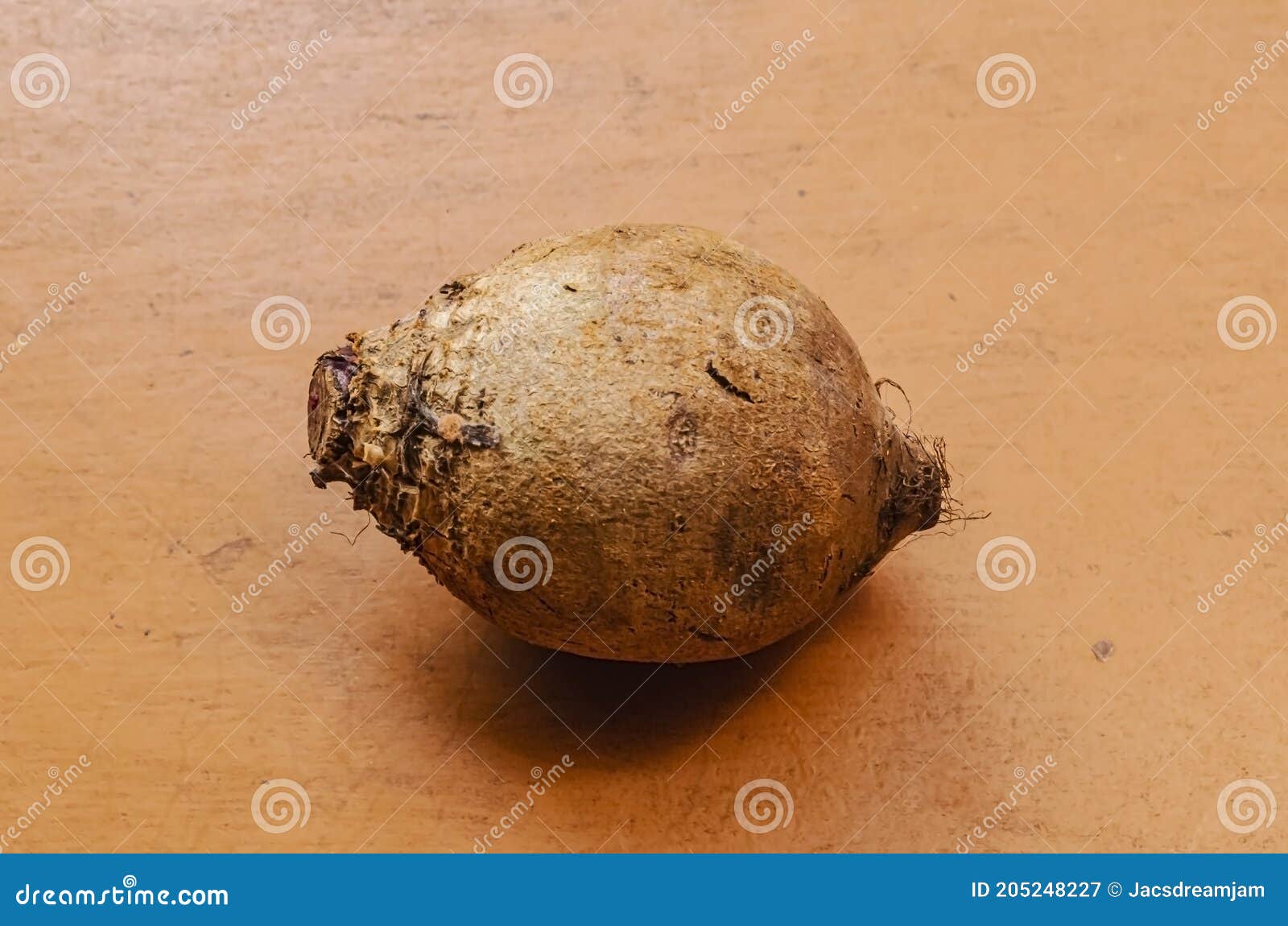 Isolated Whole Beetroot on Brown Background Stock Image - Image of desk ...