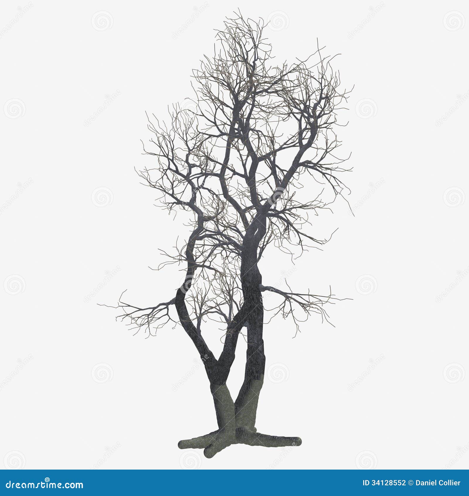 A Barren Winter Landscape With Frozen Rivers And Leafless Trees ...