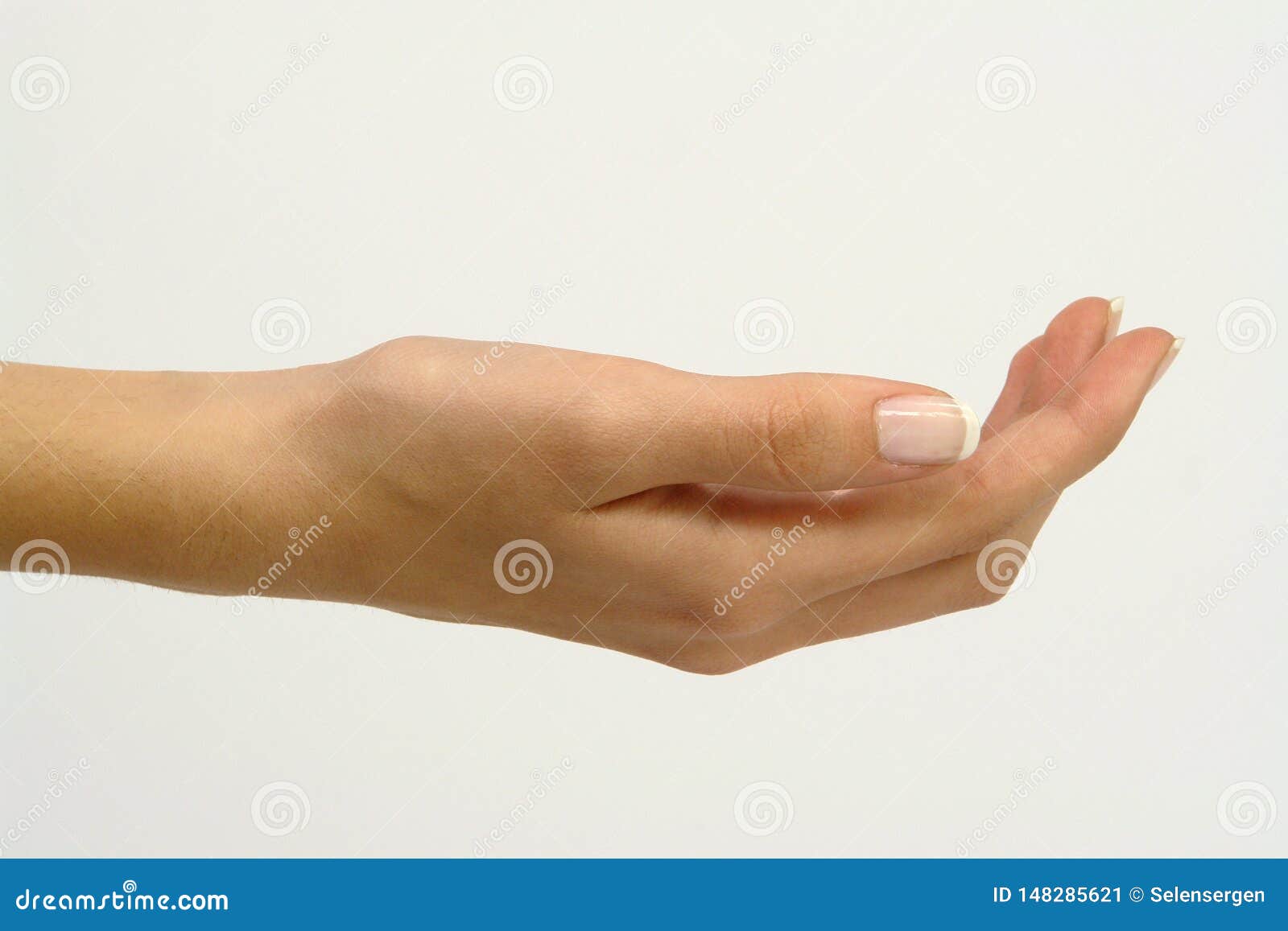 Women Hand for Presentations Stock Image - Image of young ...