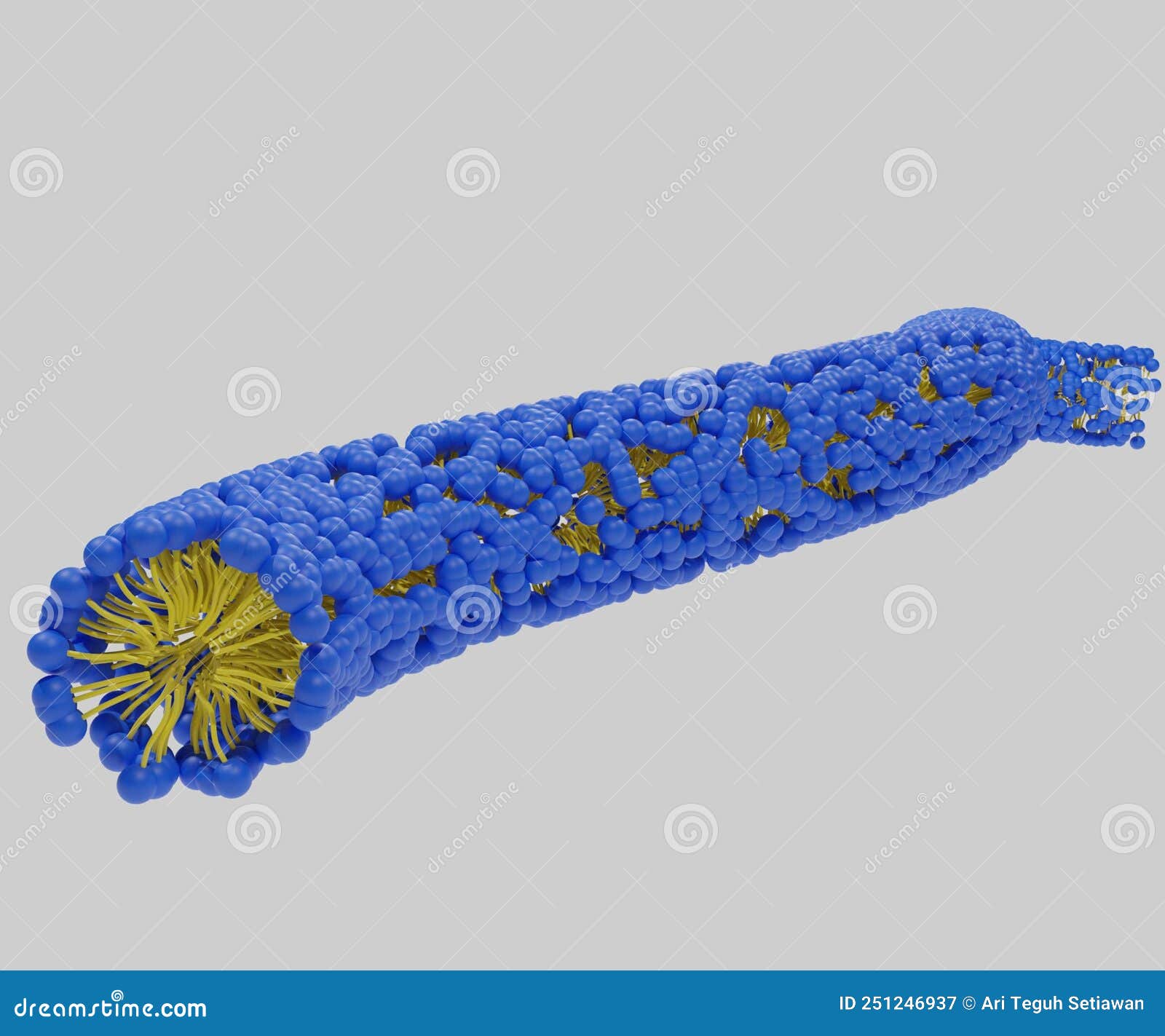Isolated Wormlike Micelles in the White Background Stock Illustration ...