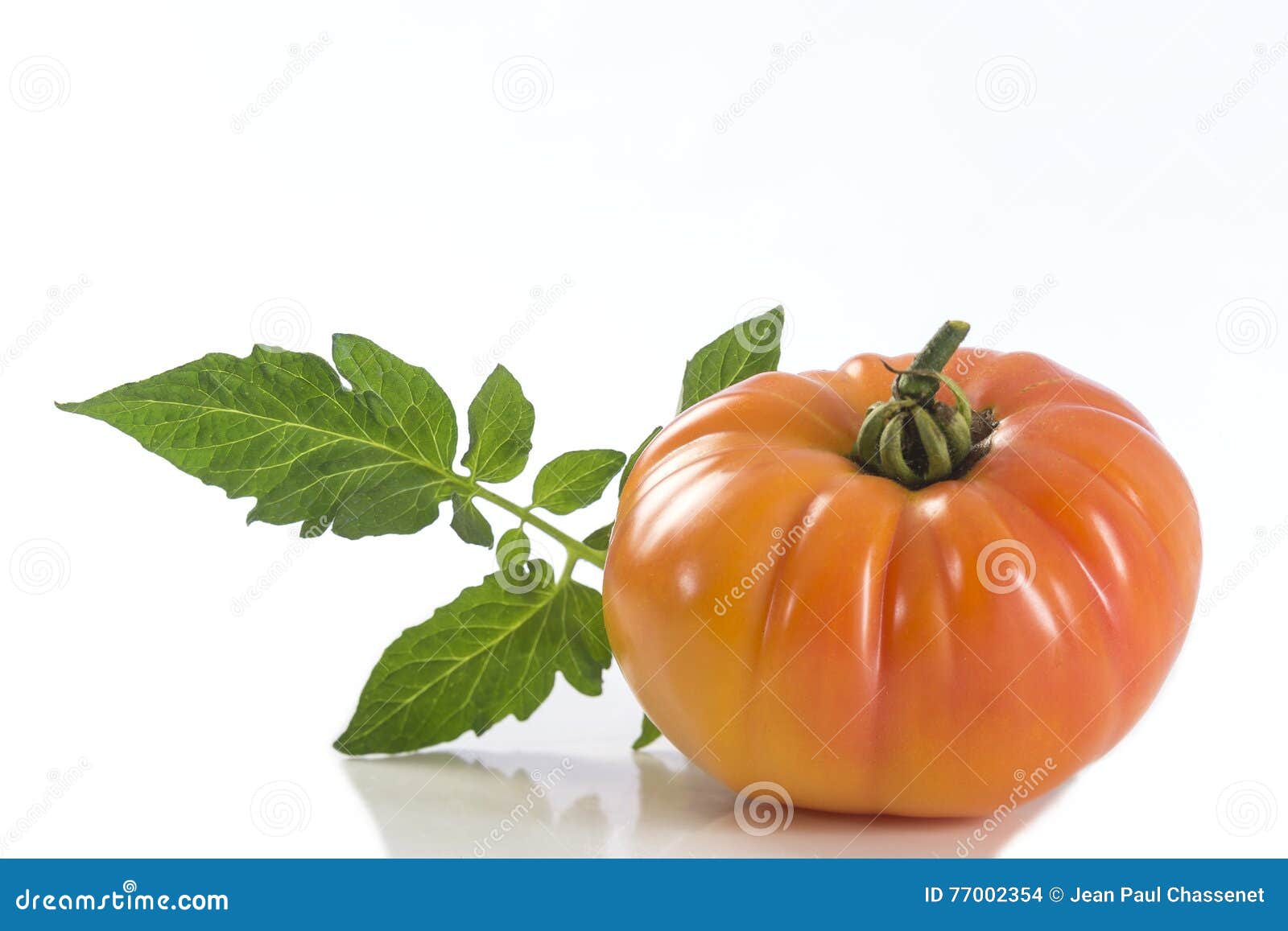 Isolated Yellow Heirloom Tomato Stock Photo - Image of freshness, diet ...