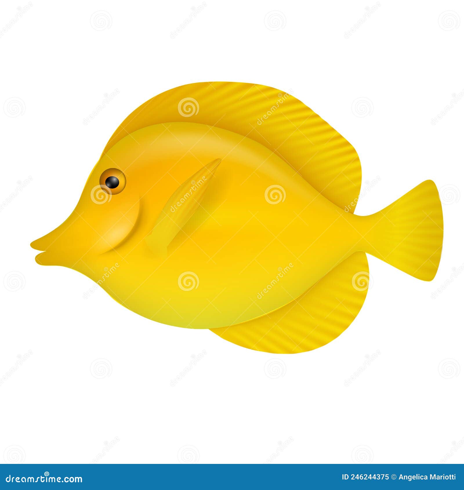 Isolated Yellow Tang Fish Illustration Stock Vector - Illustration of ...