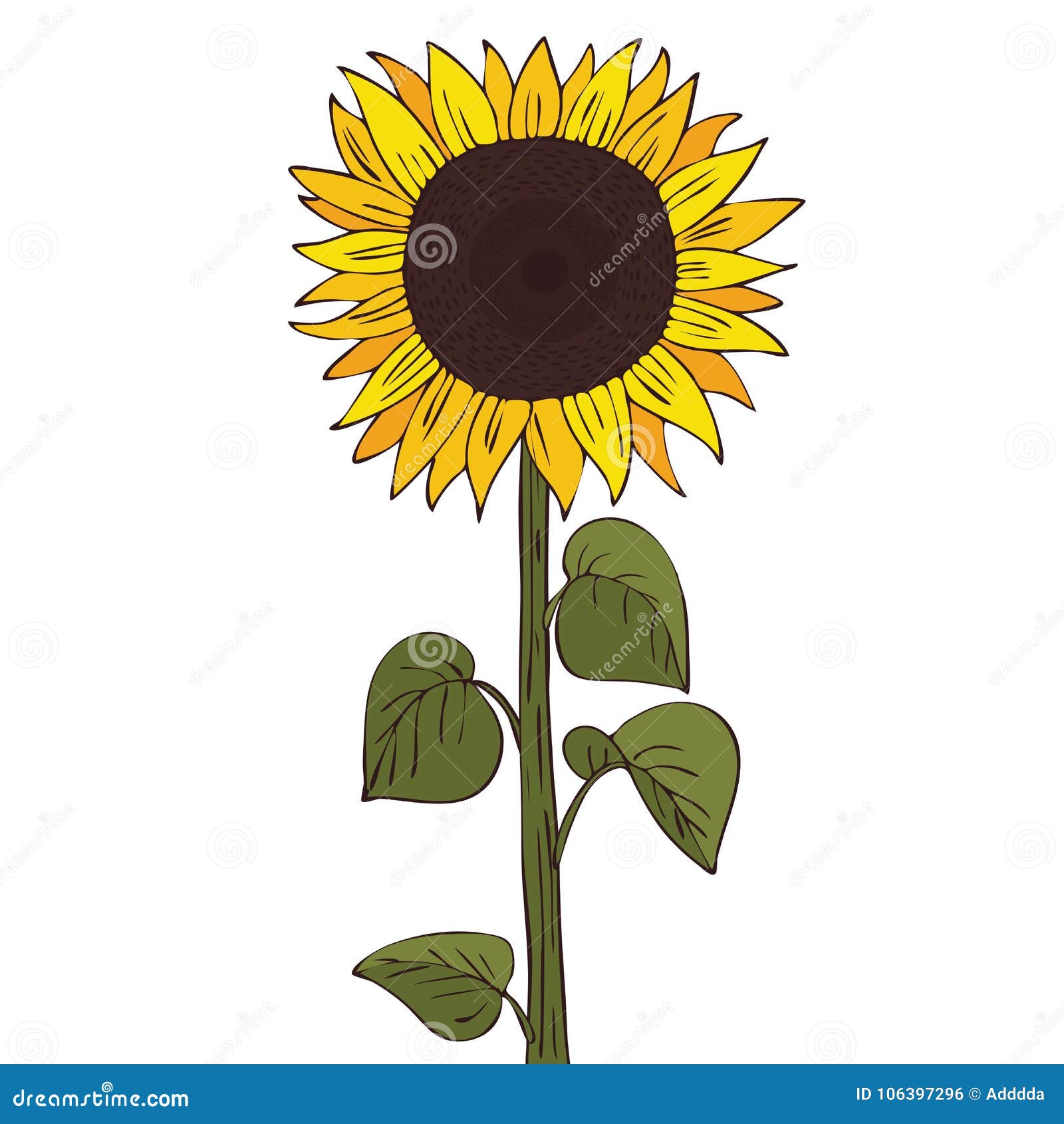 Isolathelianthus Eller Solros Vektor Illustrationer - Illustration av ...