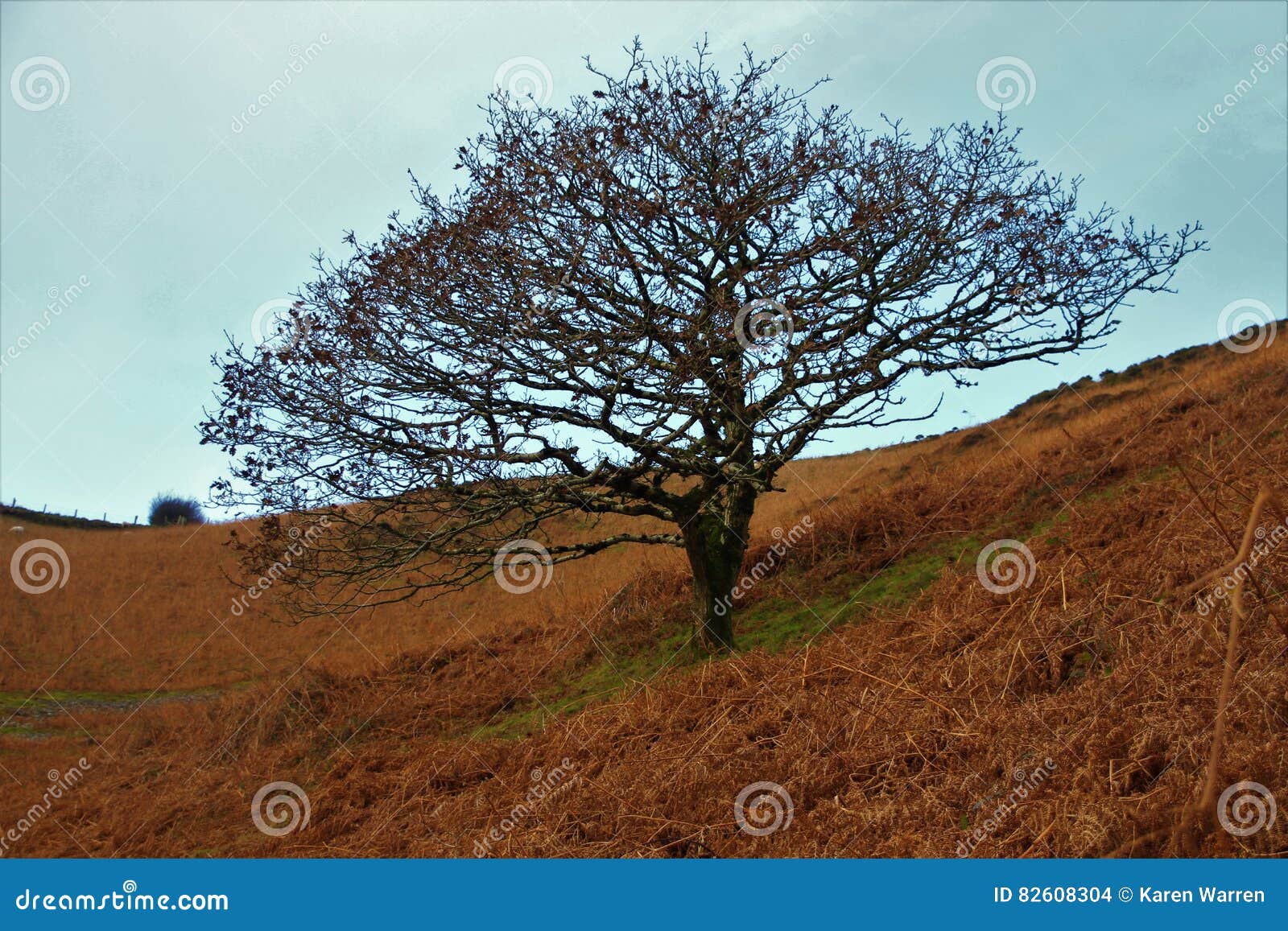 Isolation stock photo. Image of isolation, line, exmoor - 82608304