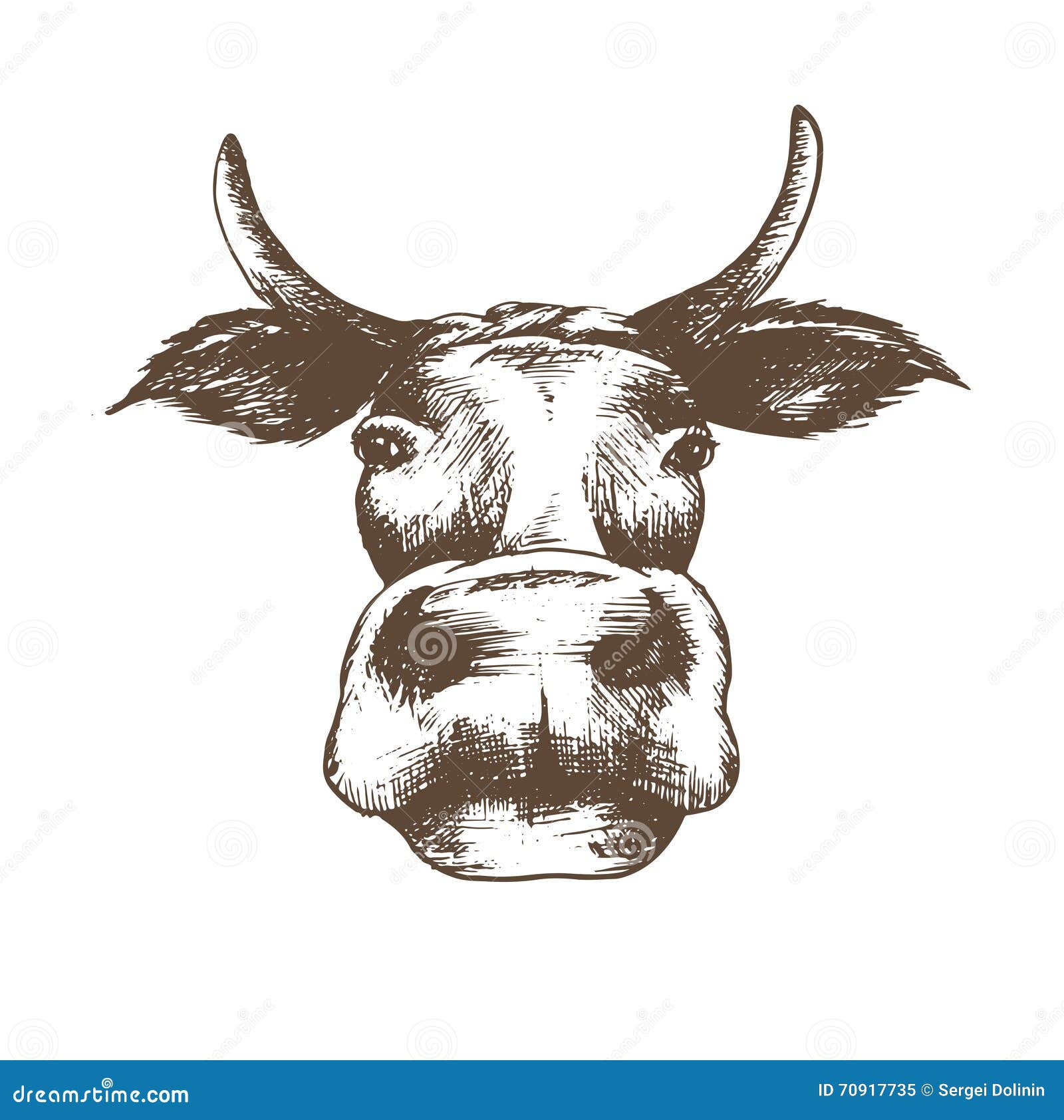 Isoleerde De Schets Vectorillustratie Witte Koe Vector Illustratie ...