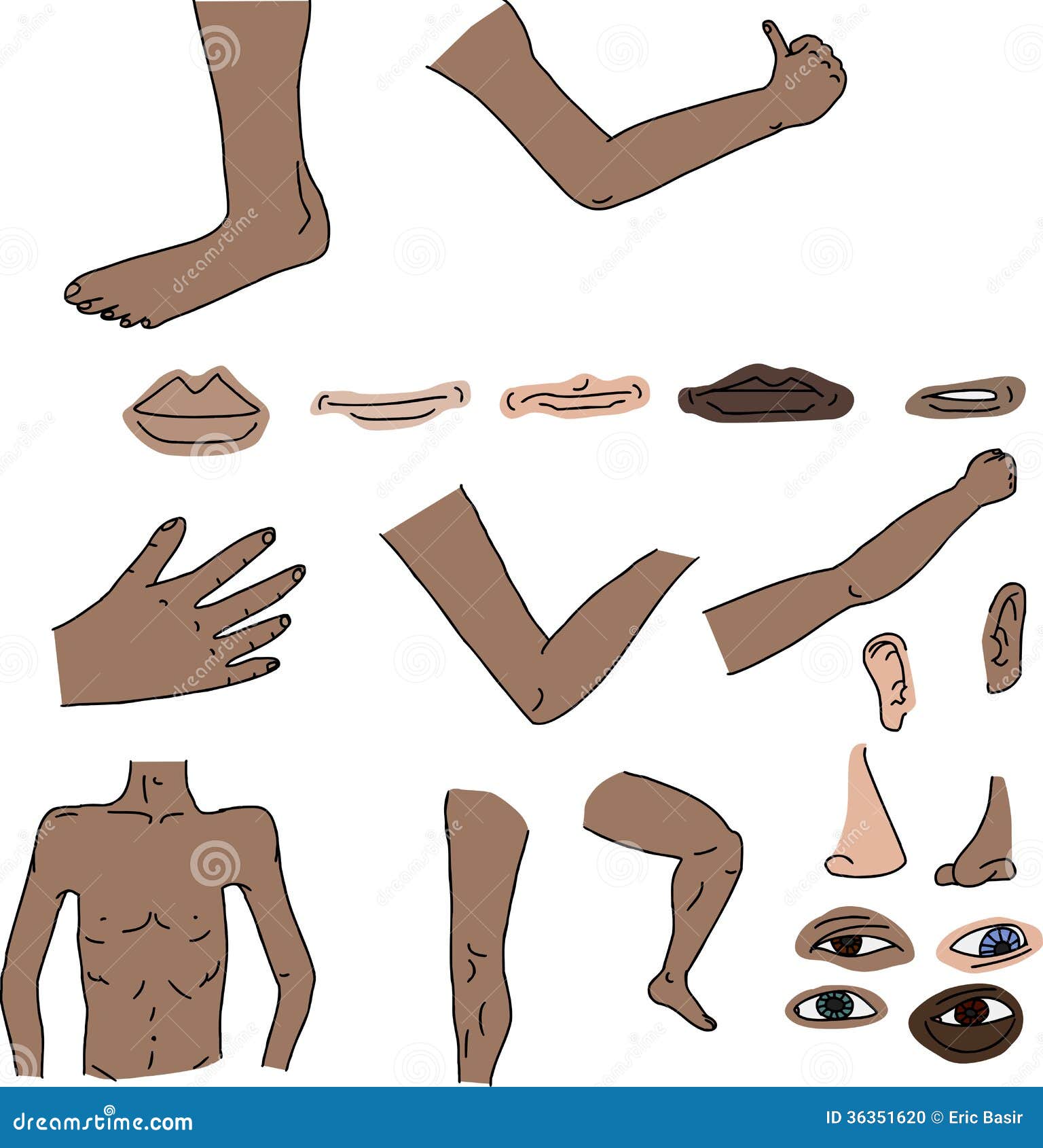 Isolerade kroppsdelar vektor illustrationer. Illustration av ...