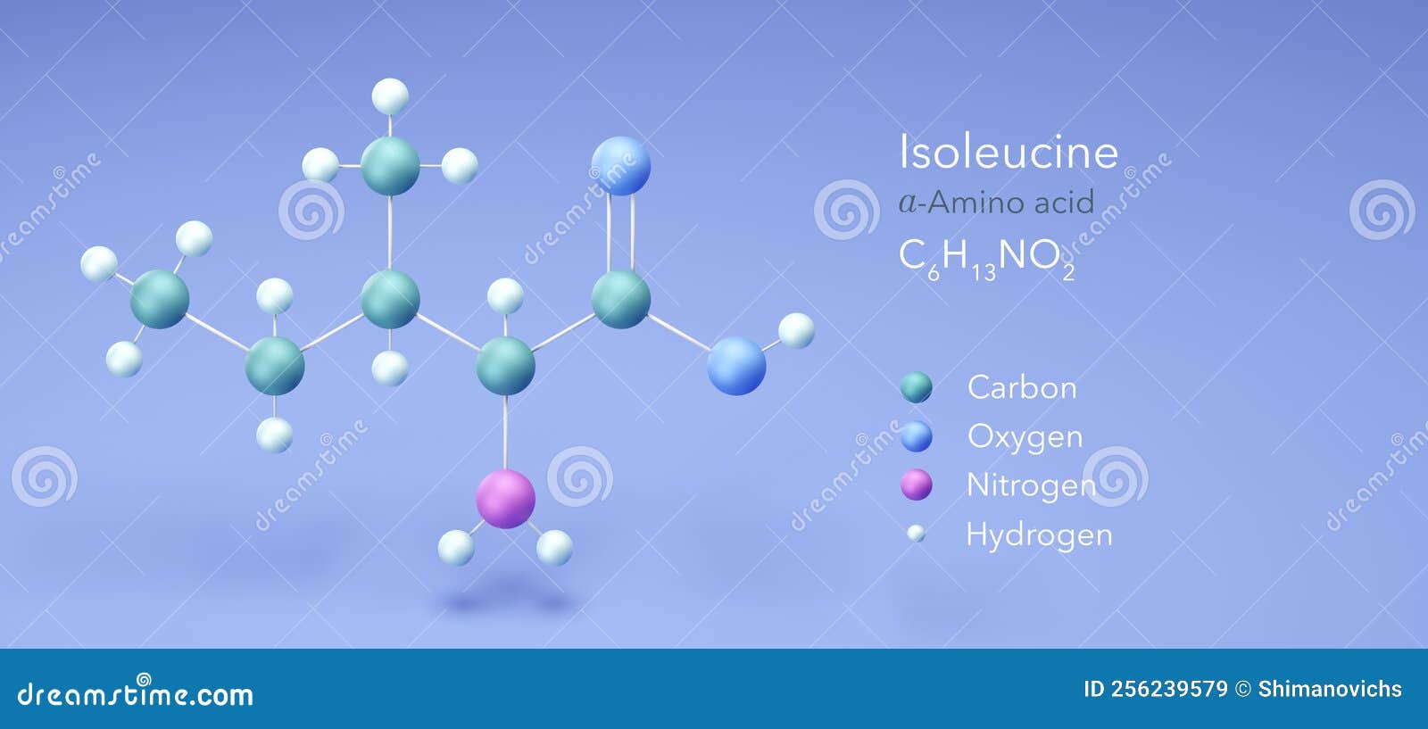 Isoleucine, Molecular Structures, Amino Acid, 3d Model, Structural ...
