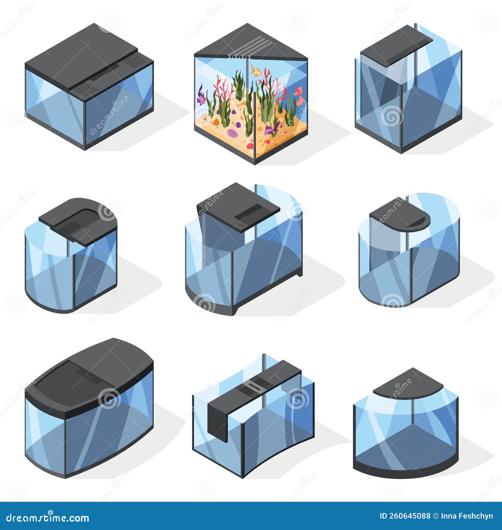 Isometric Aquarium Fish Infographics Stock Illustration | CartoonDealer ...