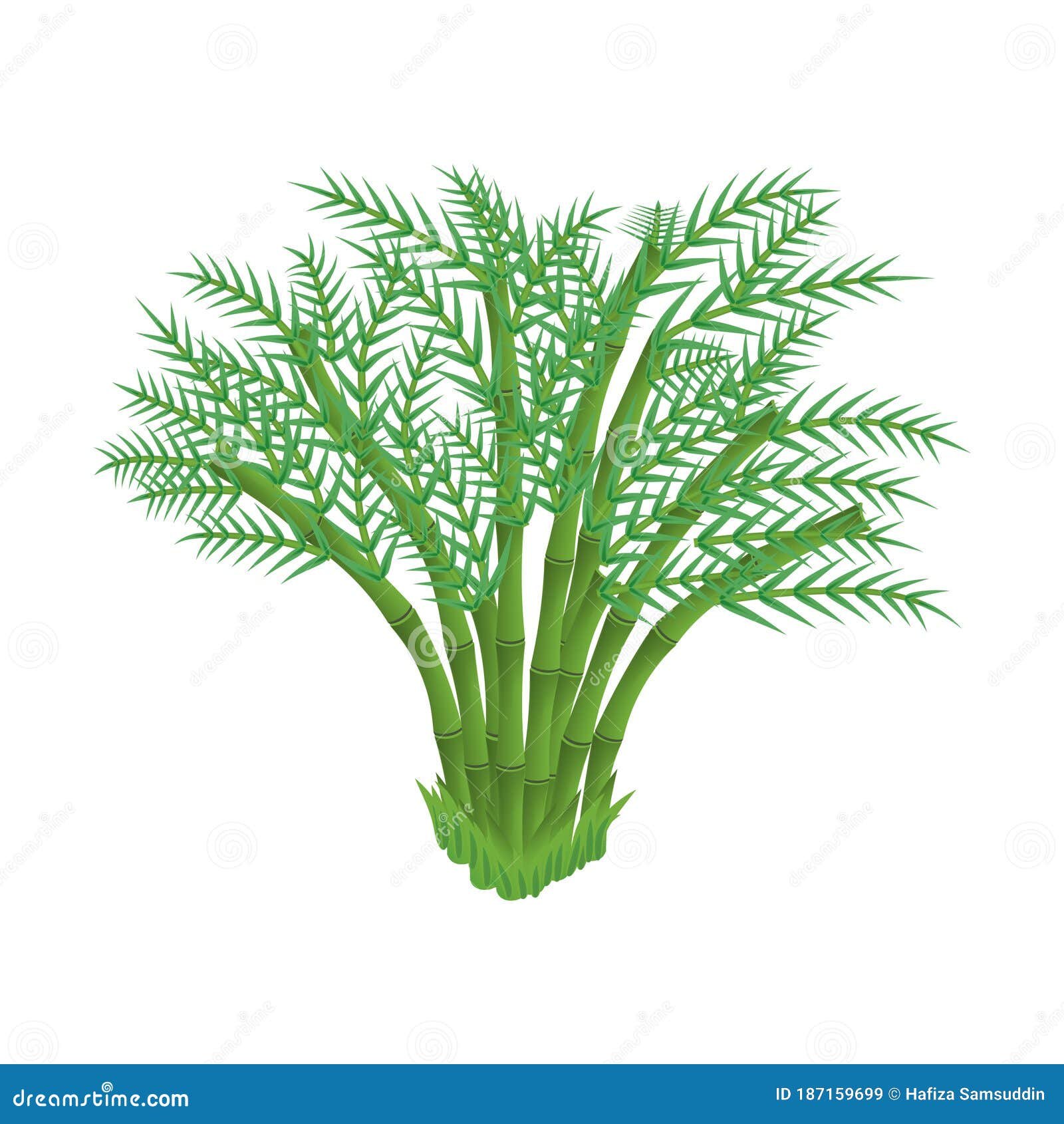 Isometric Bamboo Trees. Vector Illustration Decorative Design Stock ...