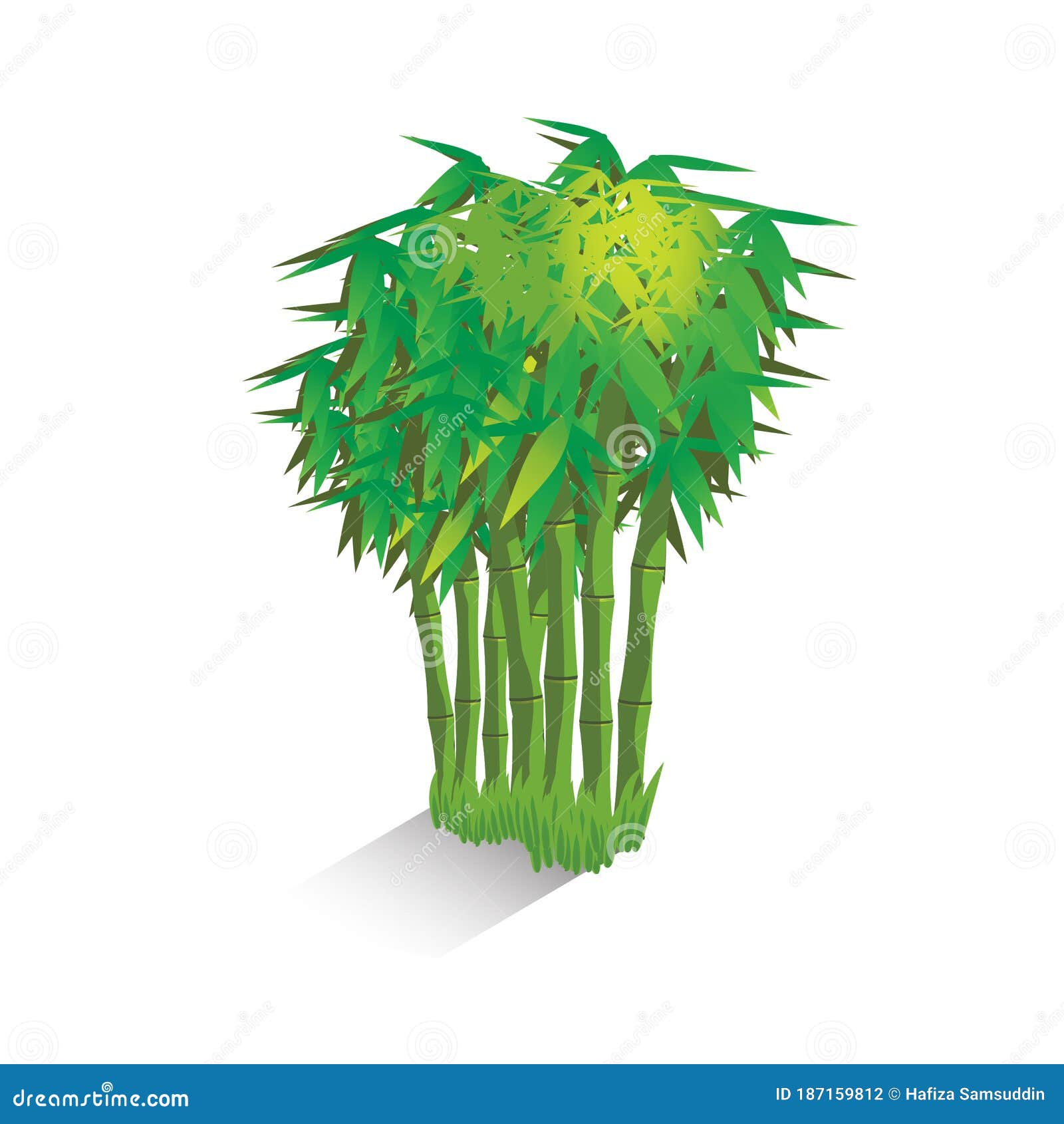 Isometric Bamboo Trees. Vector Illustration Decorative Design Stock ...