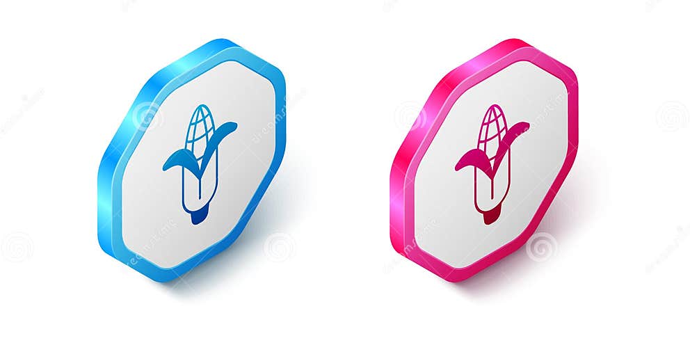 Isometric Corn Icon Isolated on White Background. Hexagon Button Stock ...