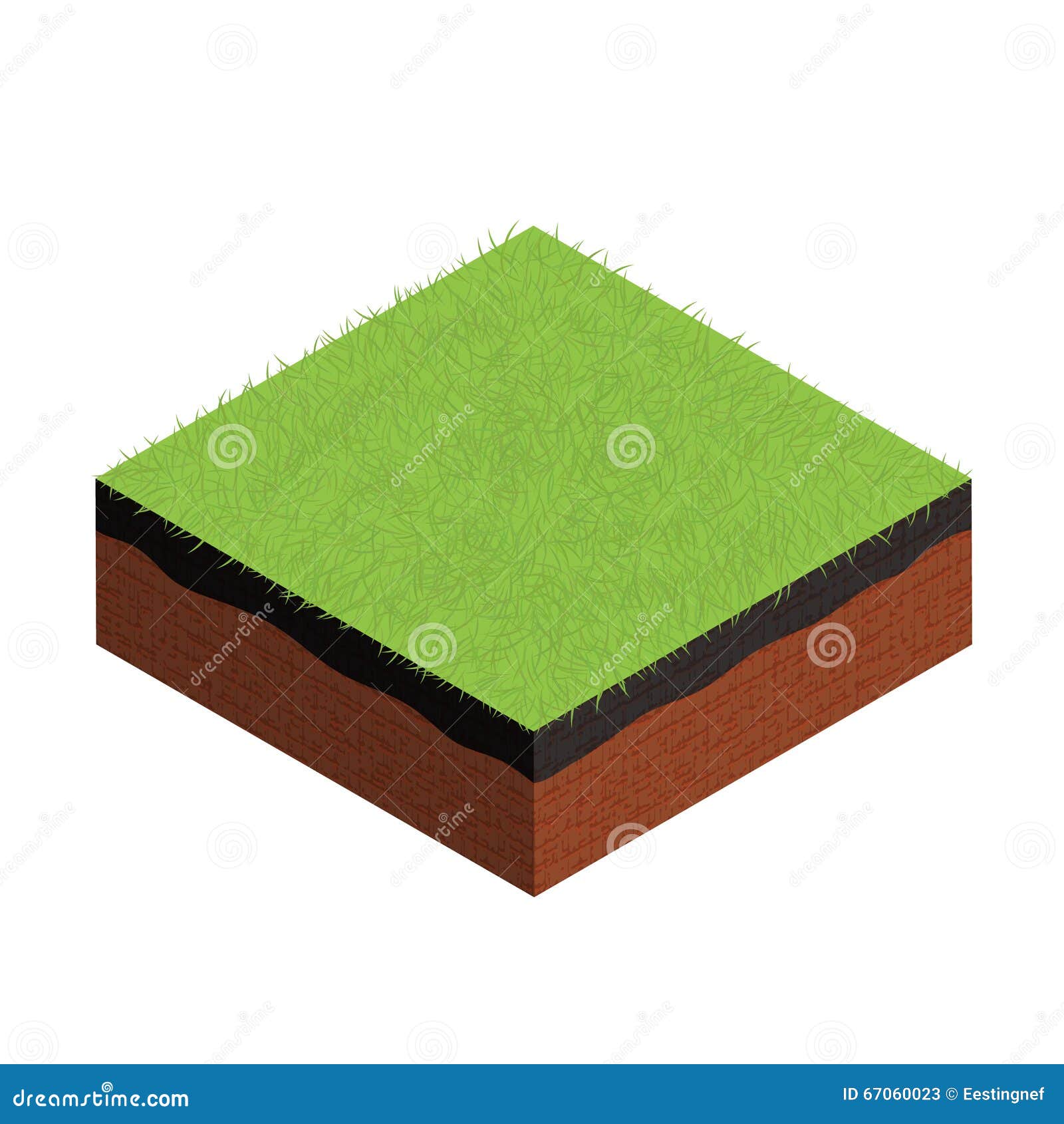 Isometric Cross Section of Ground with Grass. Stock Vector ...