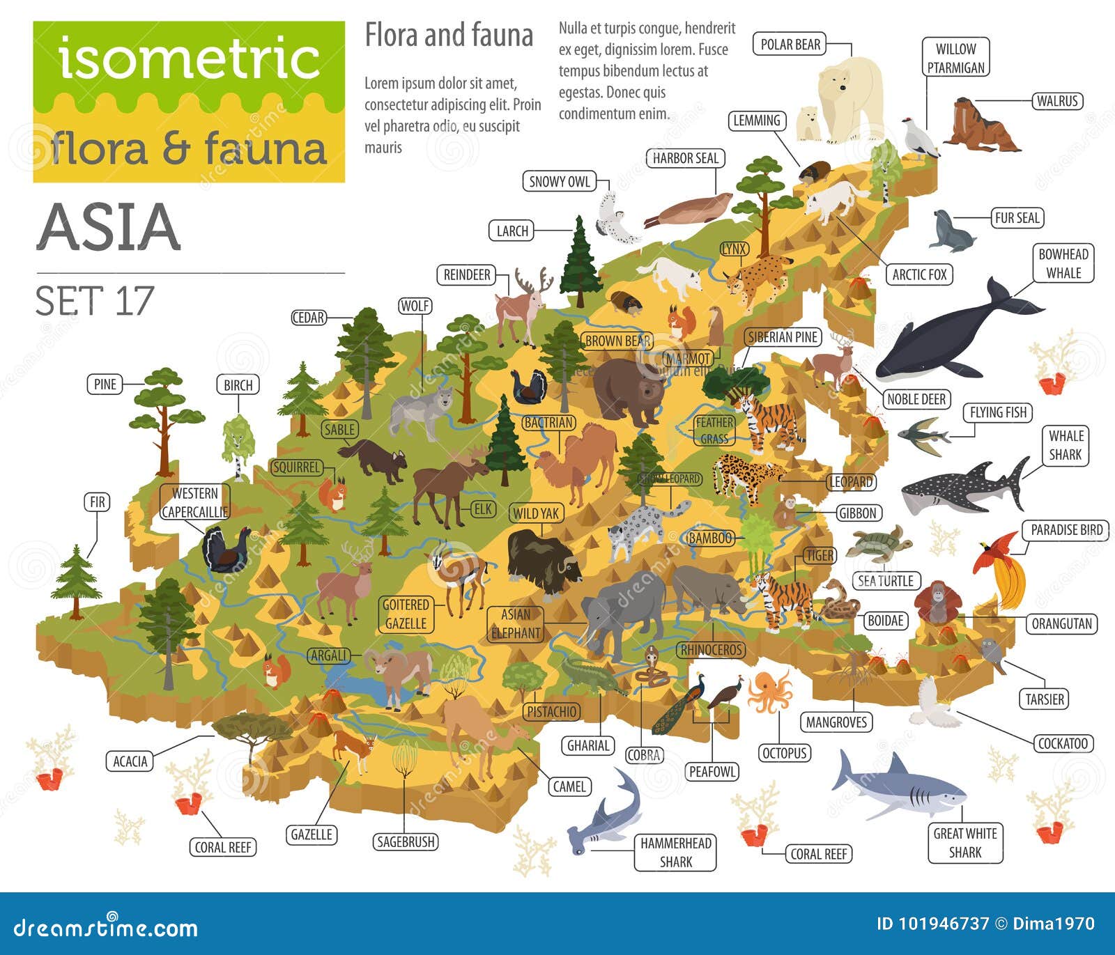 Isometric 3d Asian Flora and Fauna Map Constructor Elements. Animals ...