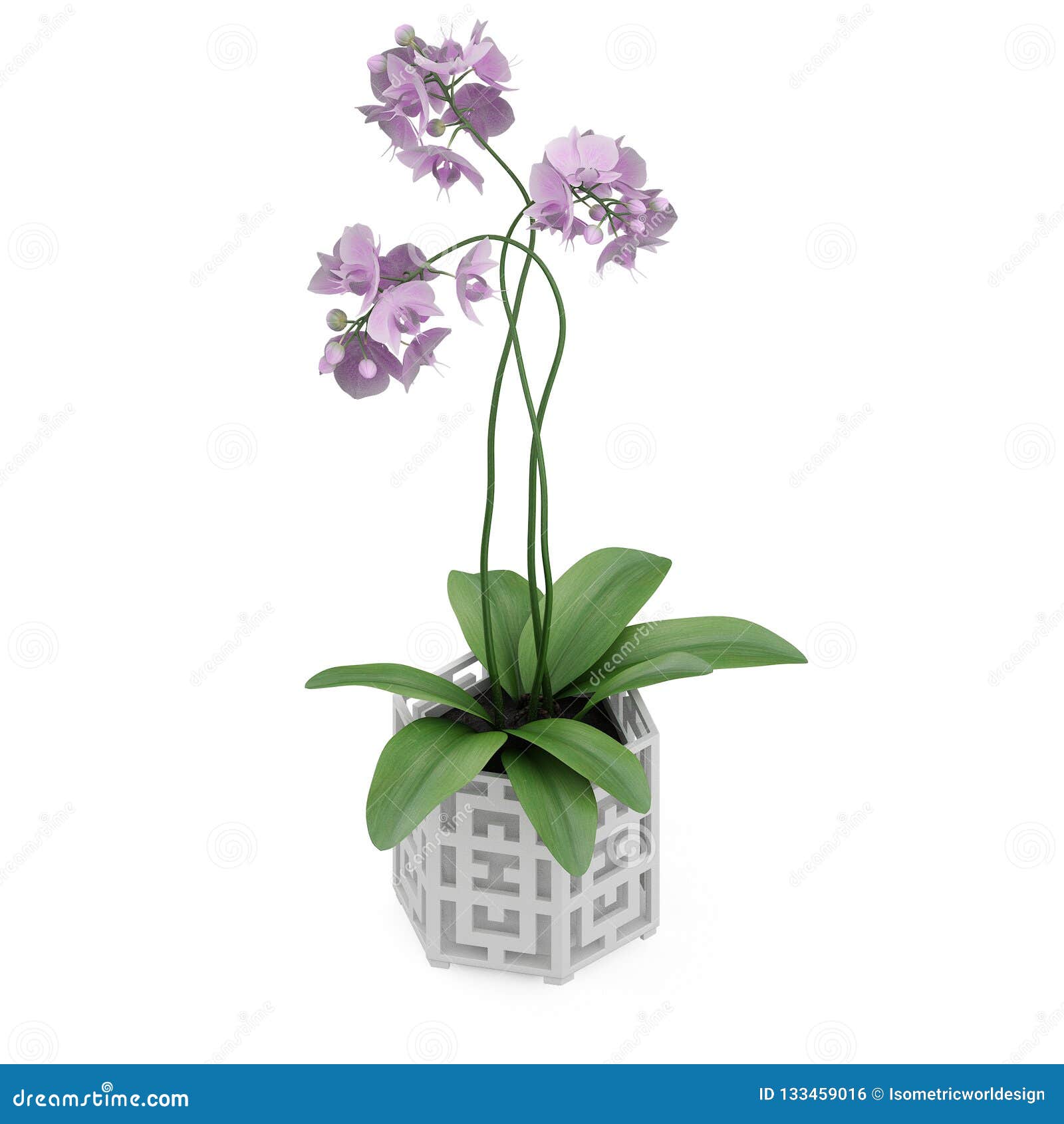 Isometric Flower 3D Rendering Stock Illustration - Illustration of ...