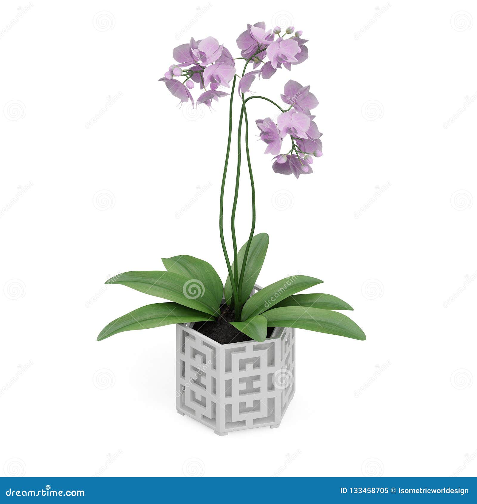 Isometric Flower 3D Rendering Stock Illustration - Illustration of item ...