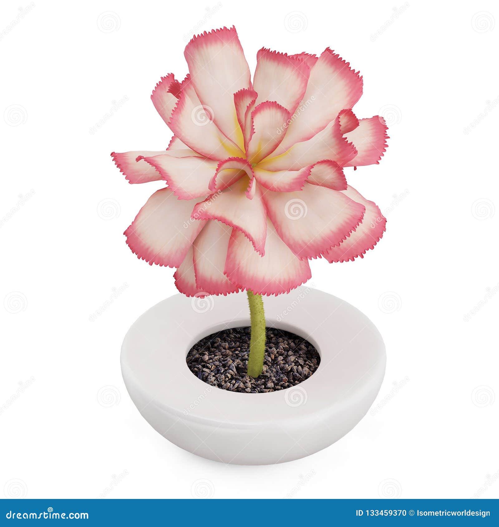 Isometric Flower 3D Rendering Stock Illustration - Illustration of ...